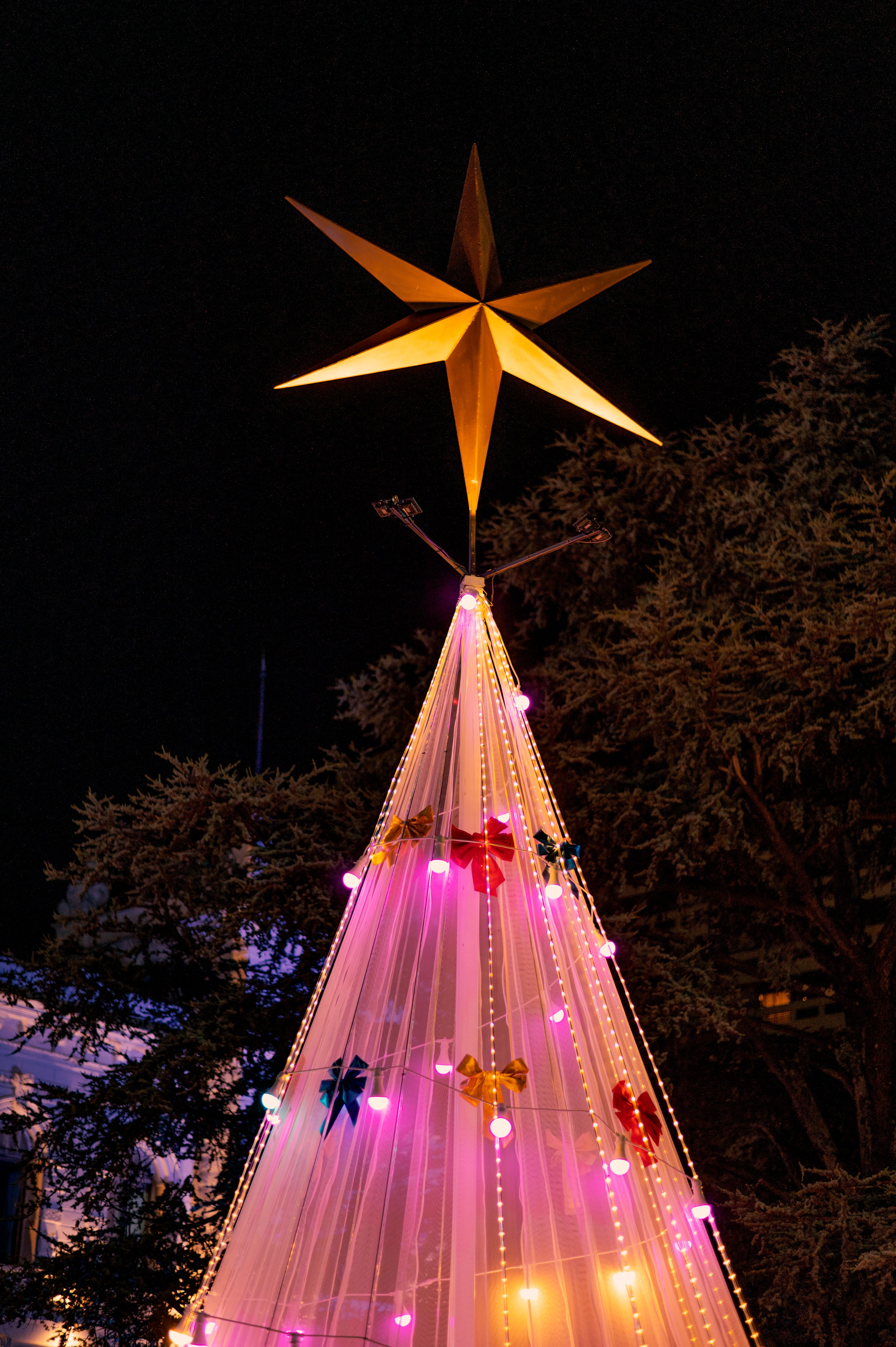 Festive Christmas Tree with Star in La Plata · Free Stock Photo