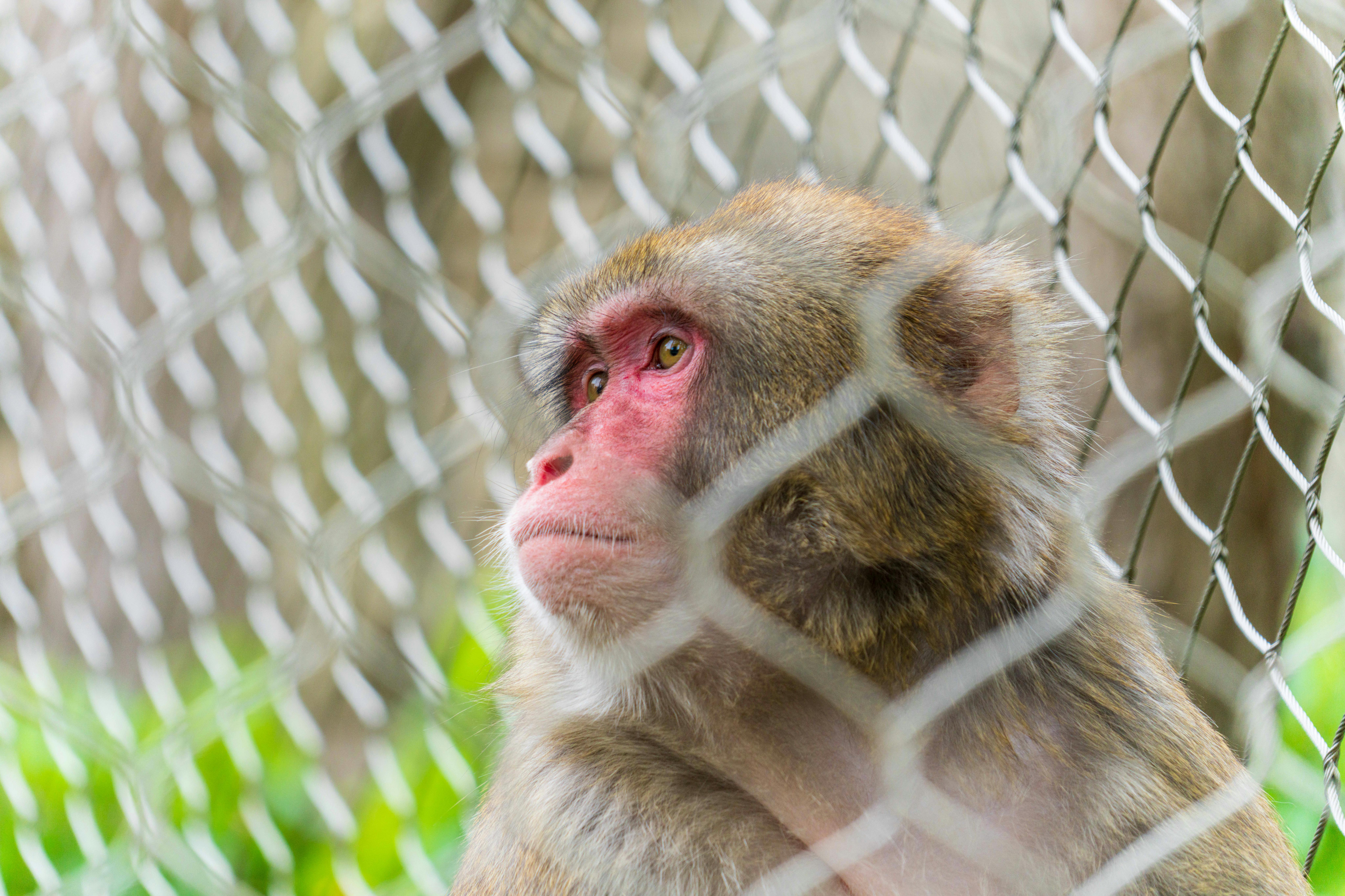 Snow+Bunny+Girls Photos, Download The BEST Free Snow+Bunny+Girls Stock ...