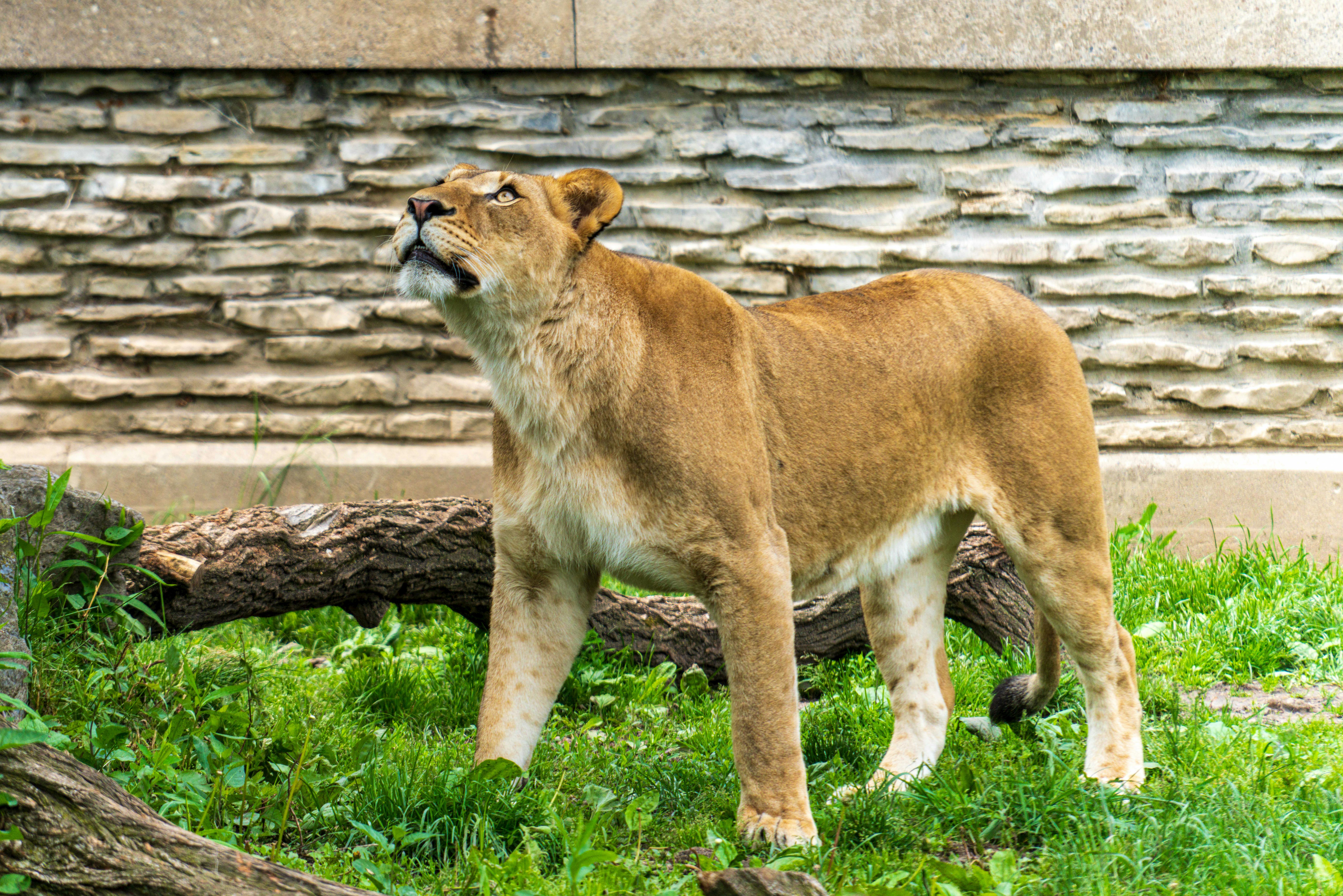 Background+Au Photos, Download The BEST Free Background+Au Stock Photos ...