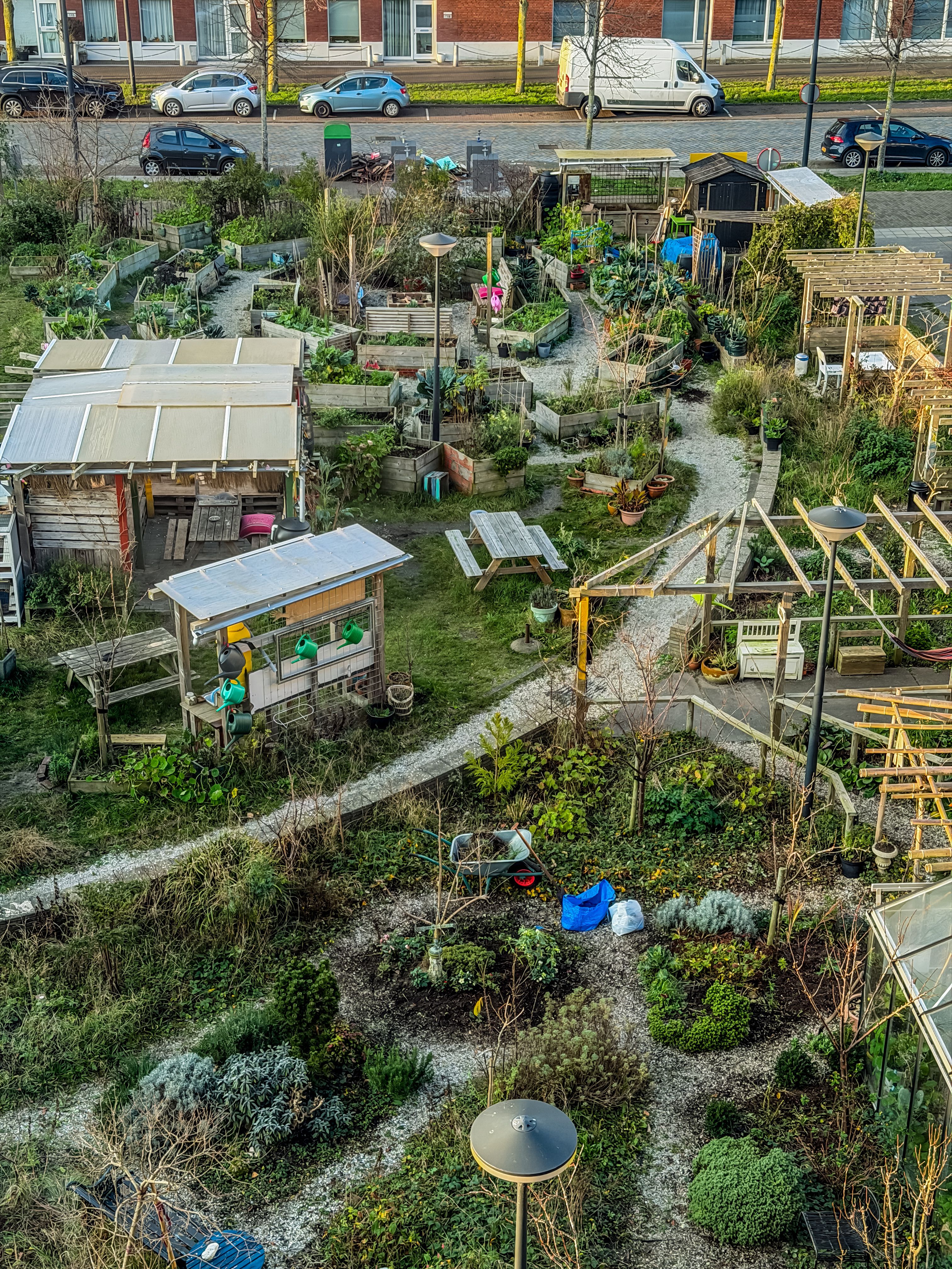 Aerial View of Lush Urban Community Garden · Free Stock Photo