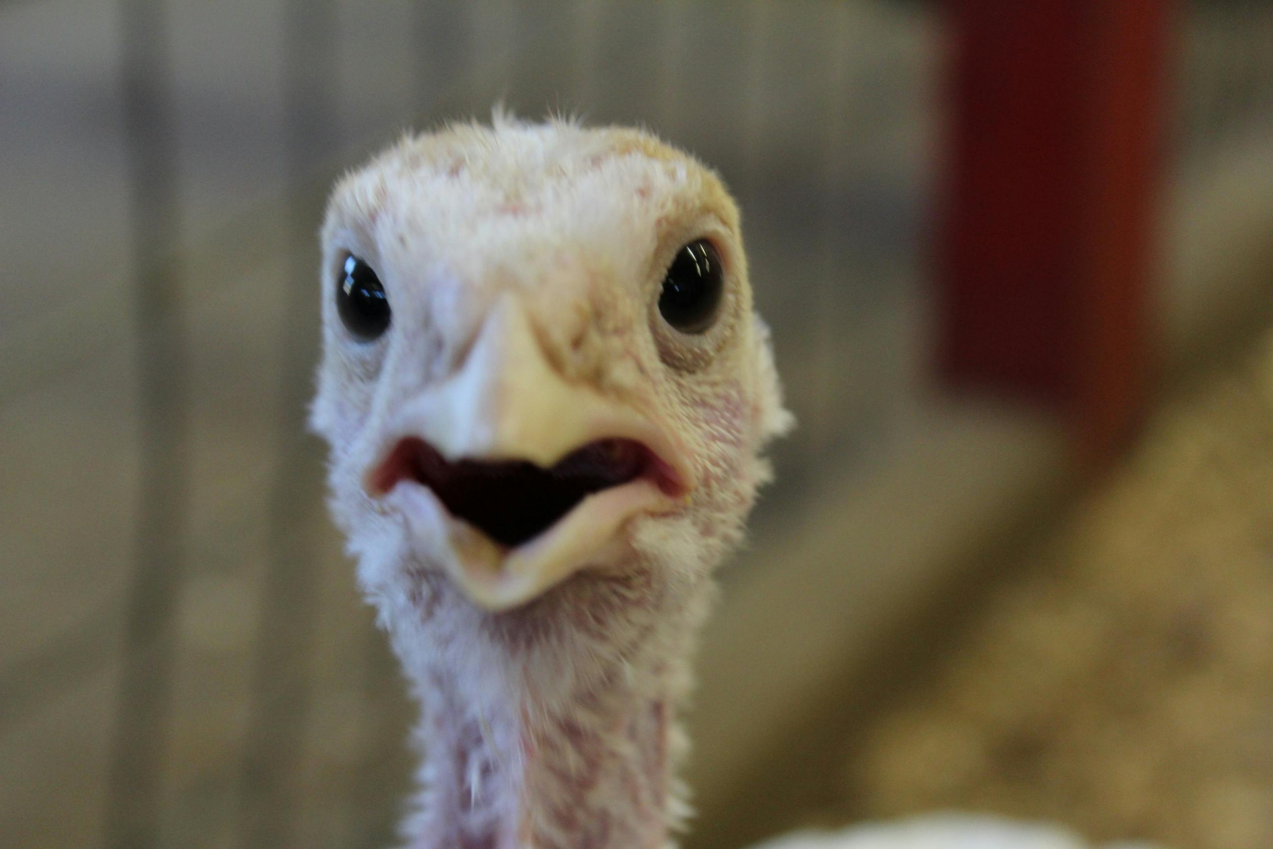 Mark Ruf - Fotografía