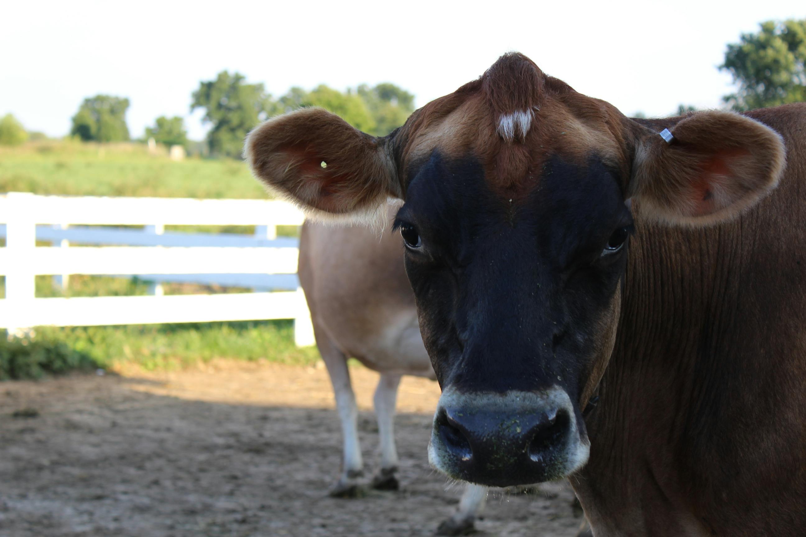 Mark Ruf - Fotografía