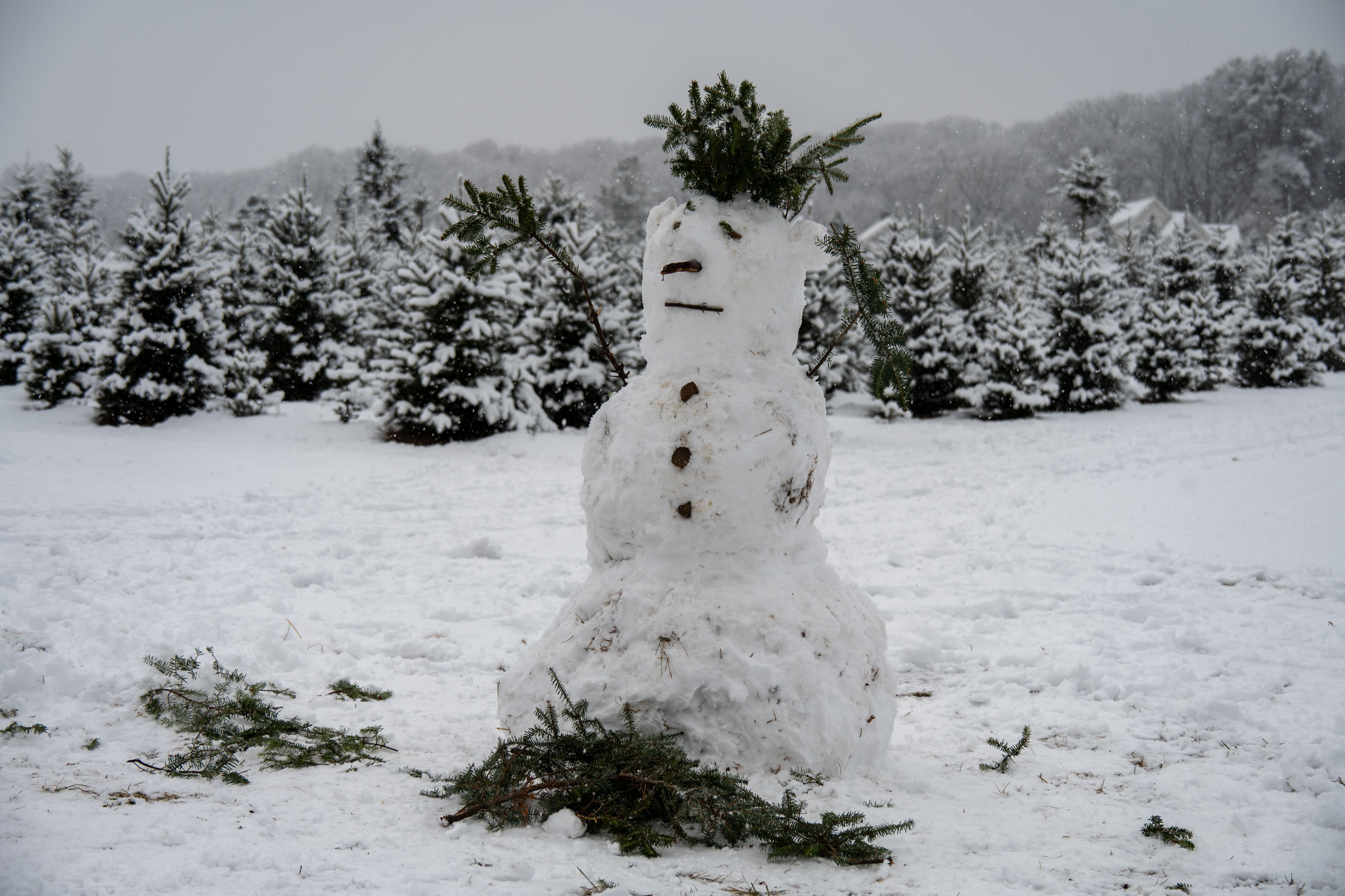 Close-Up Photography of Snowman · Free Stock Photo