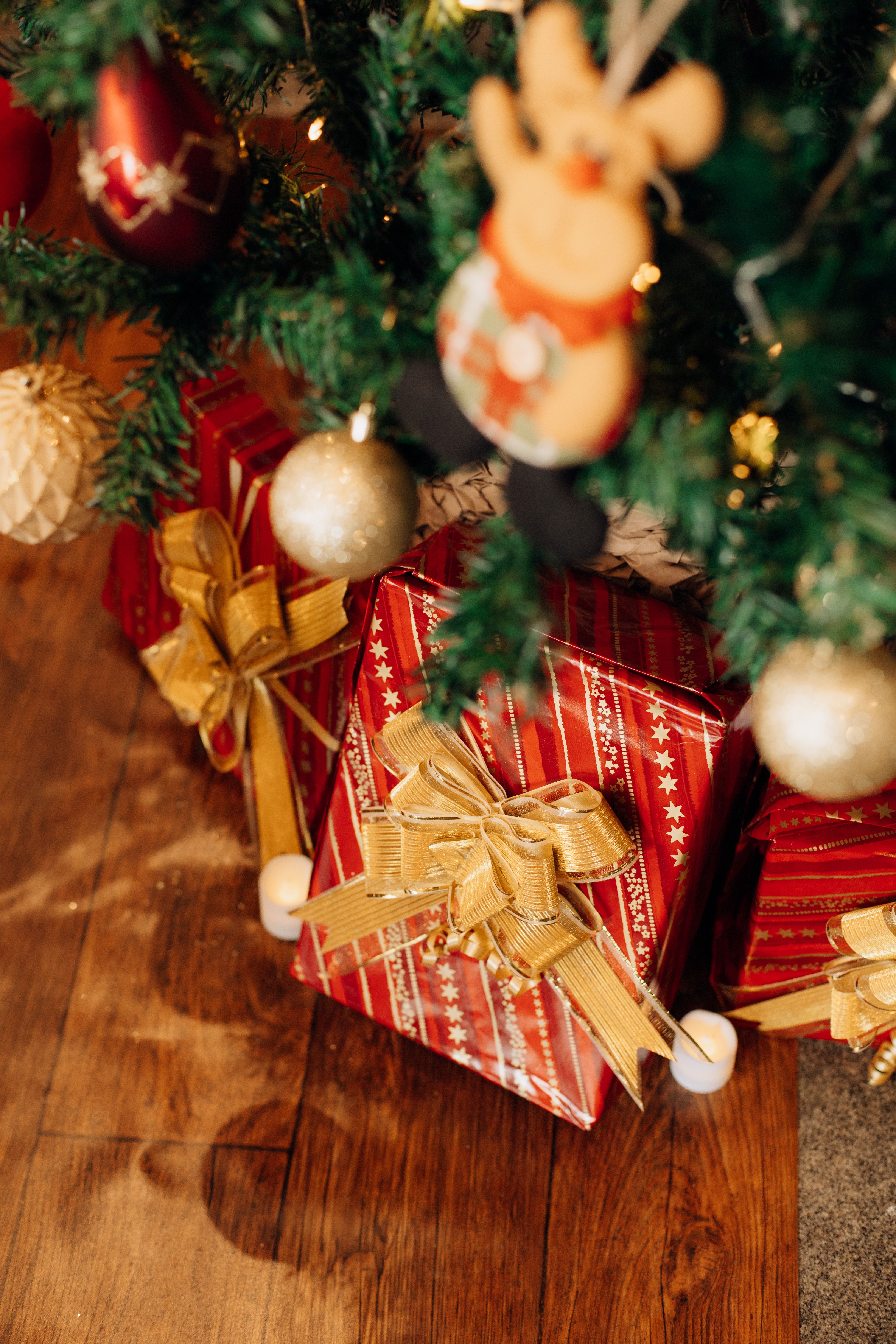 Festive Christmas Gifts Under Tree · Free Stock Photo