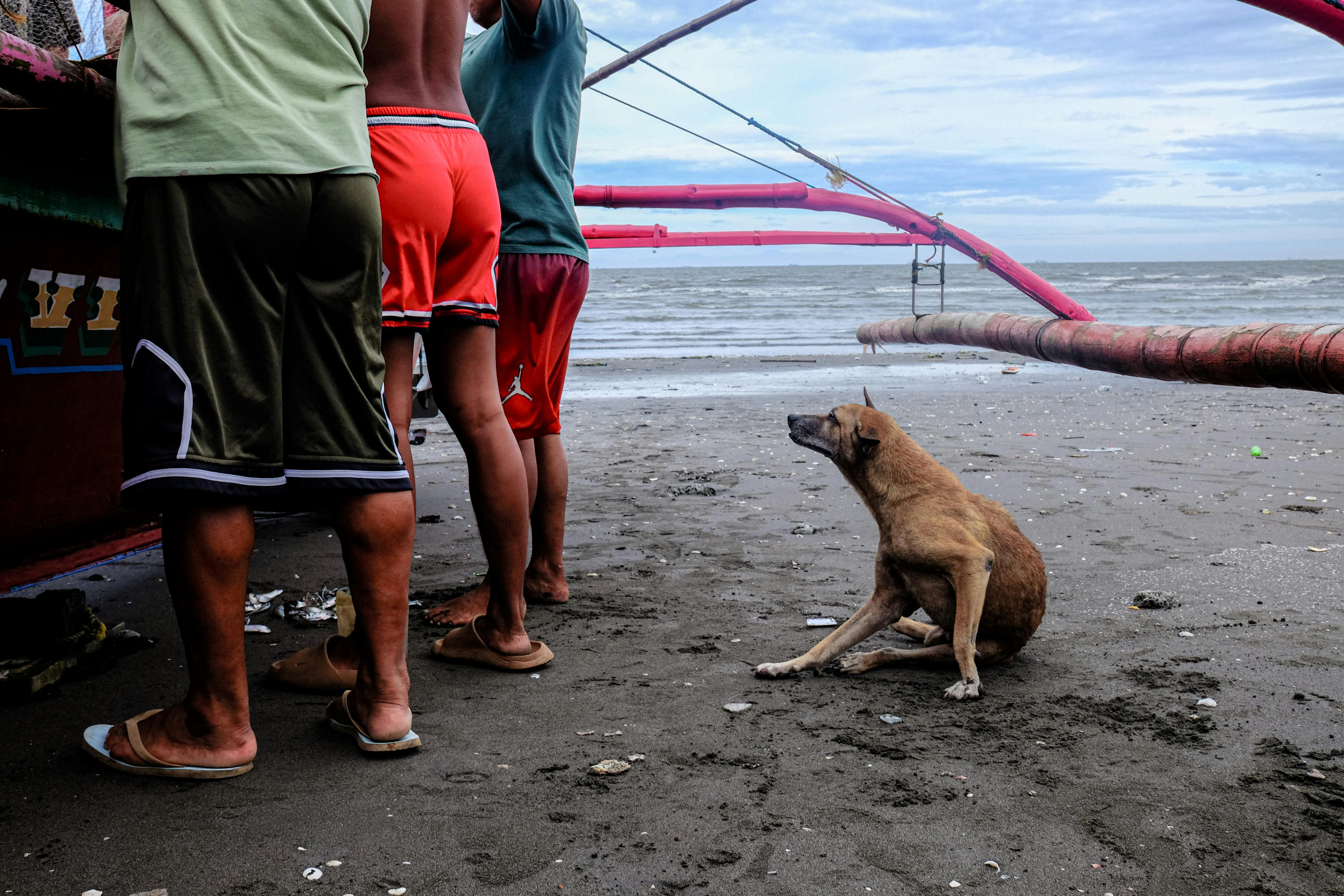 Pagmamano In The Philippines Photos, Download The BEST Free Pagmamano ...