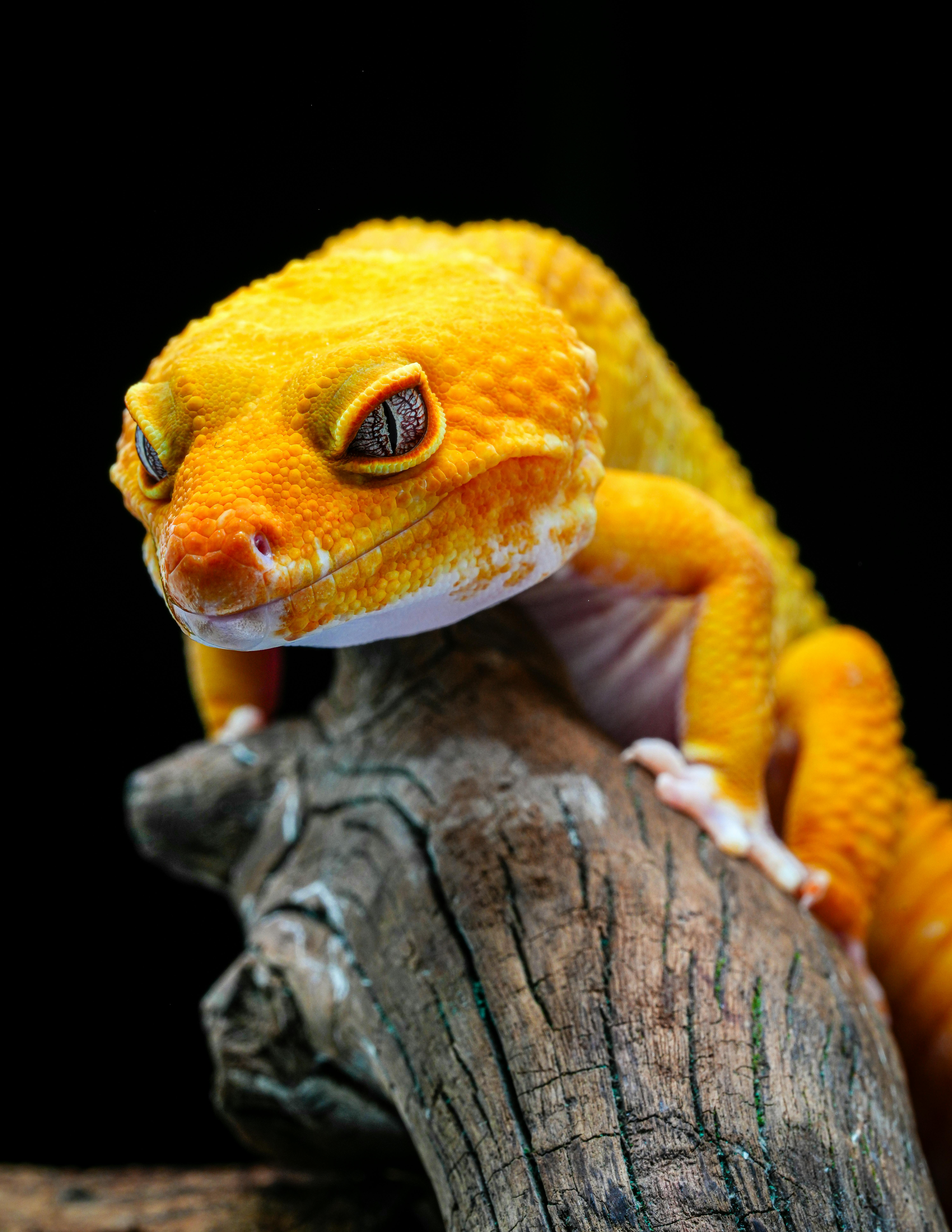 1,514,130+以上の無料デスクトップ+壁紙+仕事効率化+無料画像