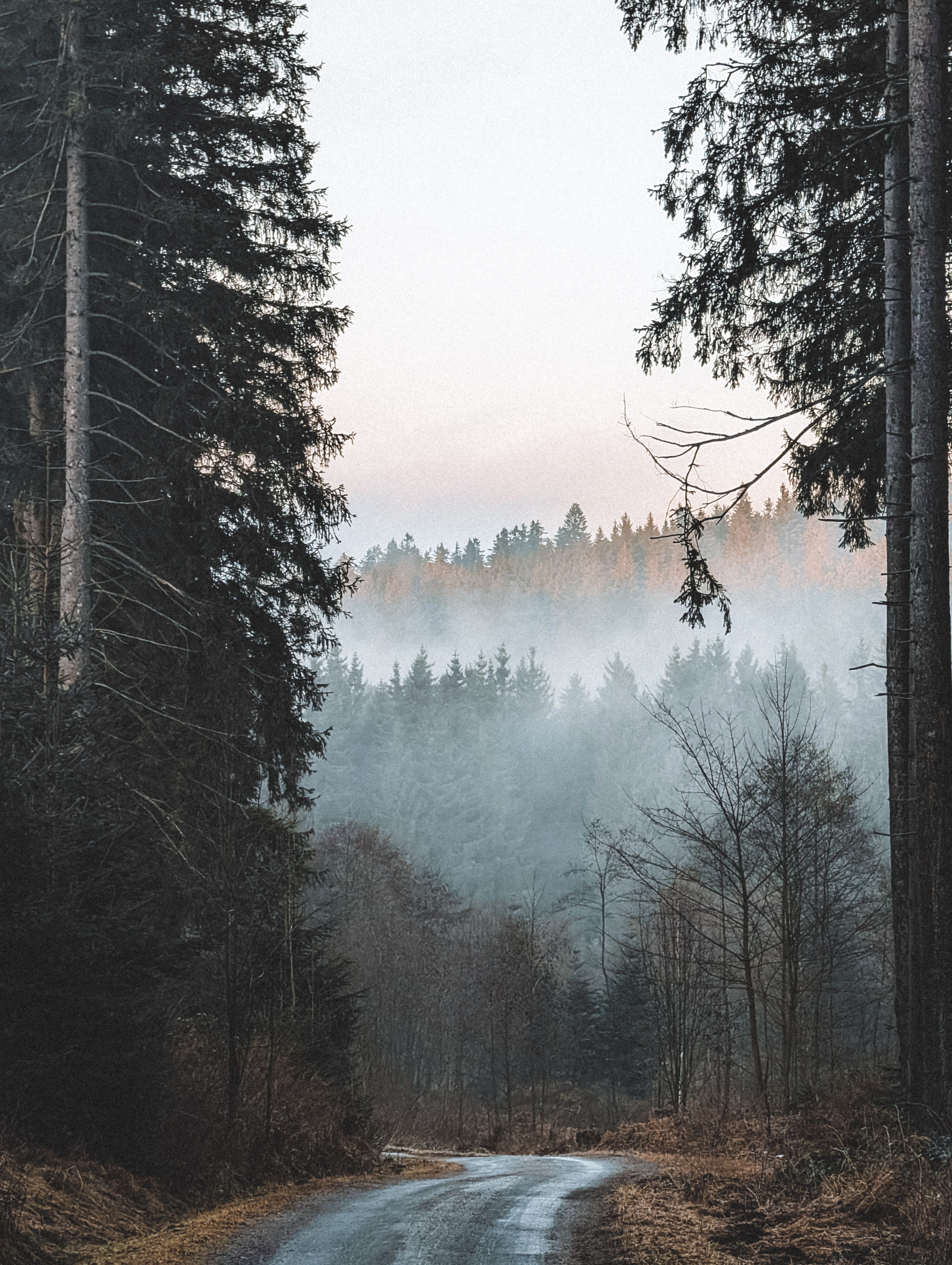 Secluded Beacch Photos, Download The BEST Free Secluded Beacch Stock ...