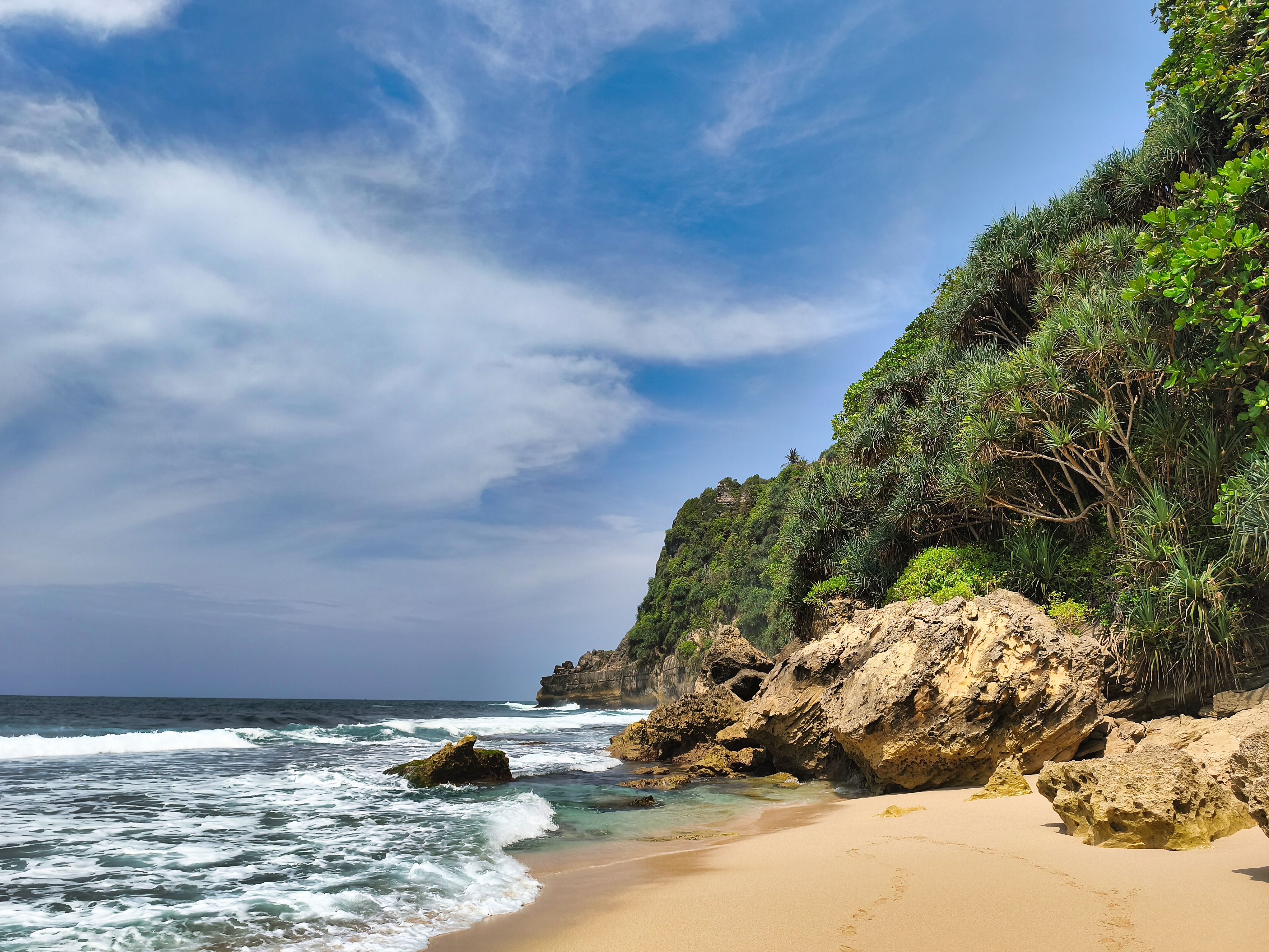 Sandy Beach with a Forest in the Background · Free Stock Photo