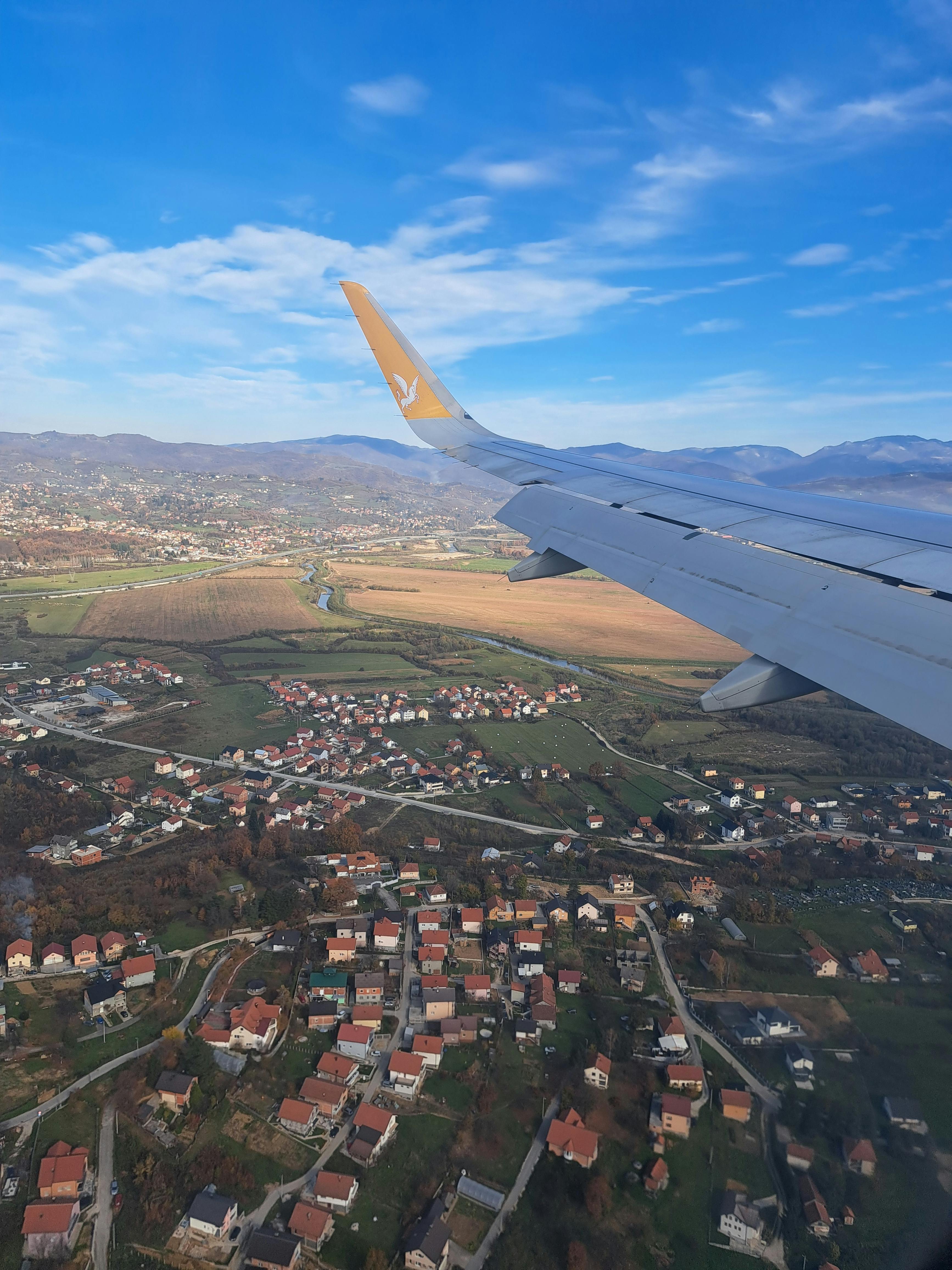 Aerial View Of Swans Photos, Download The BEST Free Aerial View Of ...