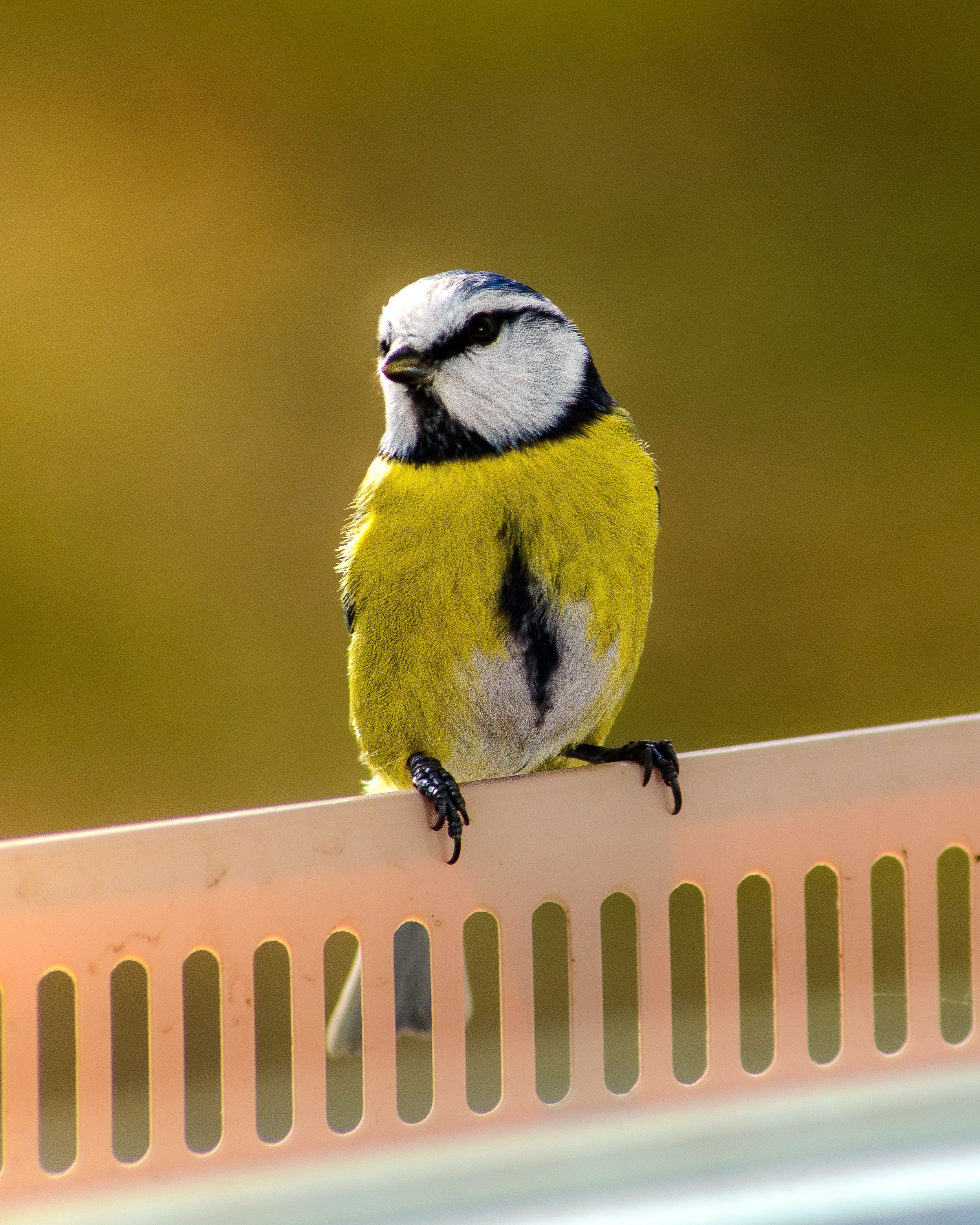 Small Photos, Download The BEST Free Small Stock Photos & HD Images