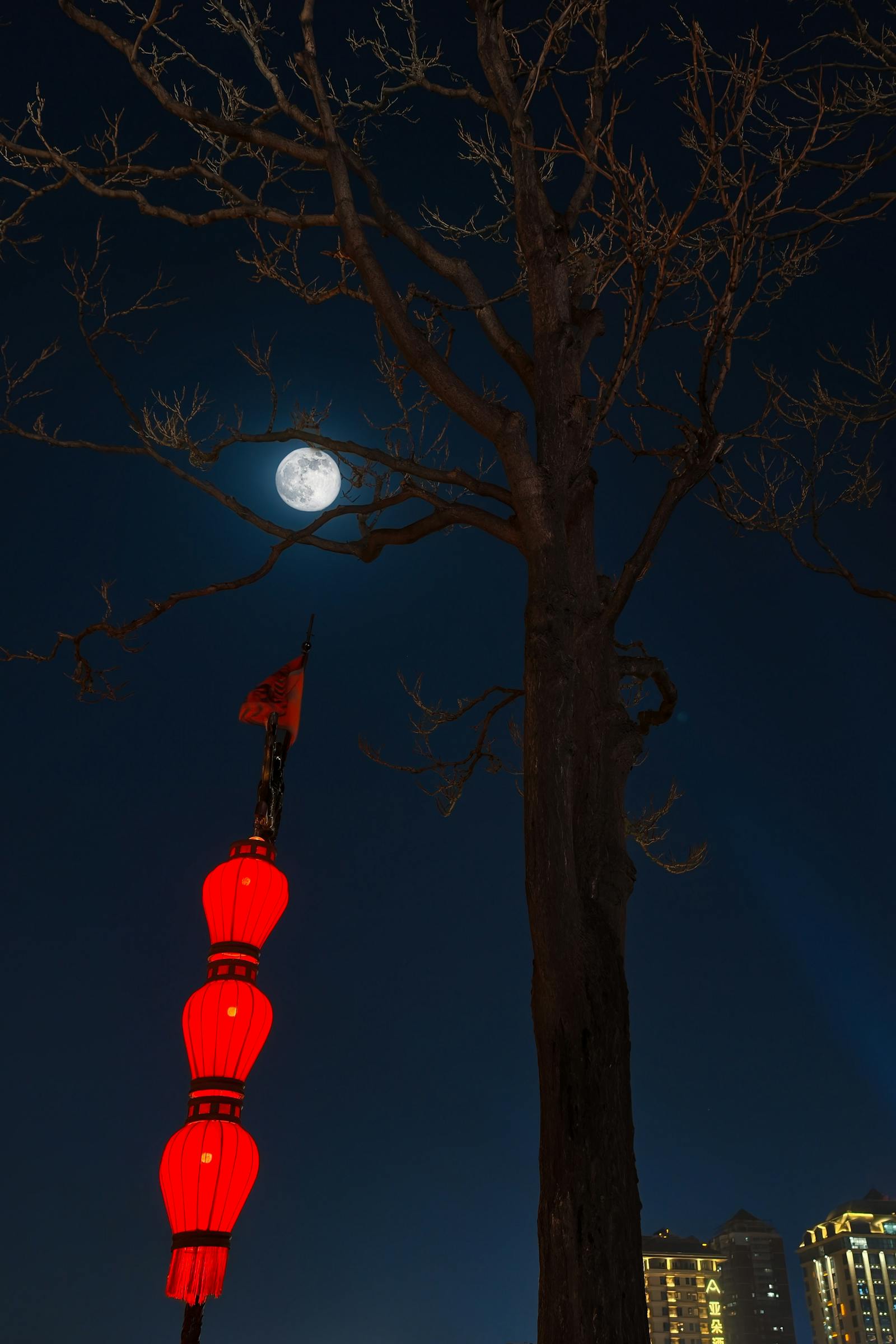 Night Sky Pfp Photos, Download The BEST Free Night Sky Pfp Stock Photos ...