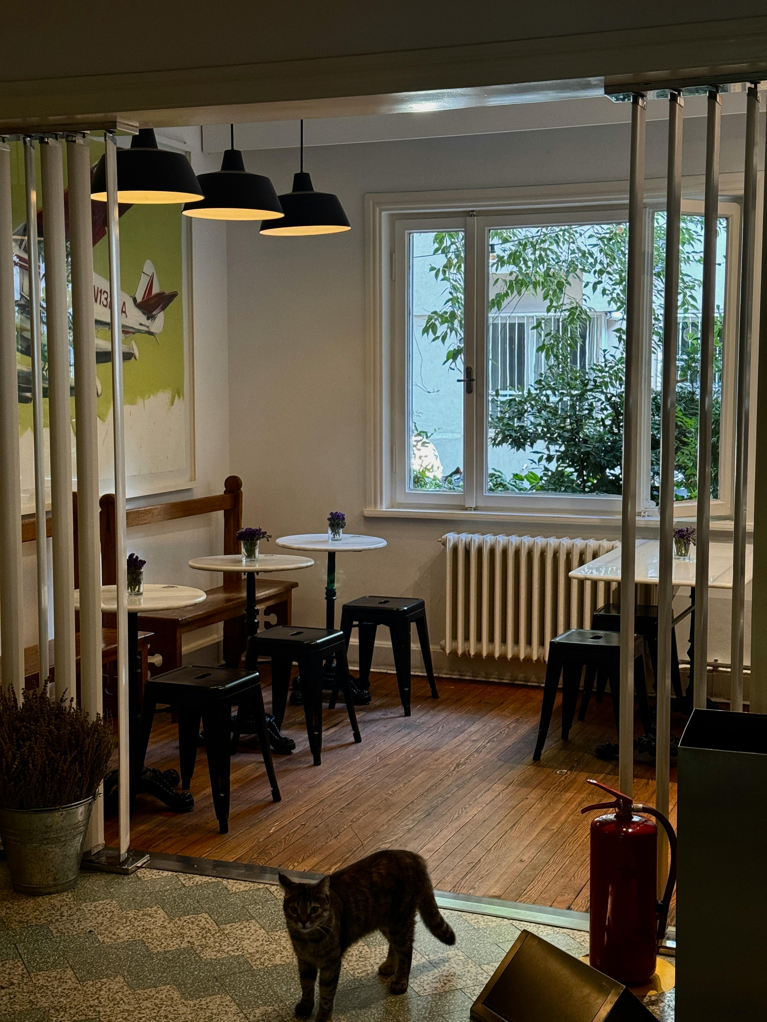 1960s+Stocking+Vintage+Stocking+Tops Photos, Download The BEST Free ...