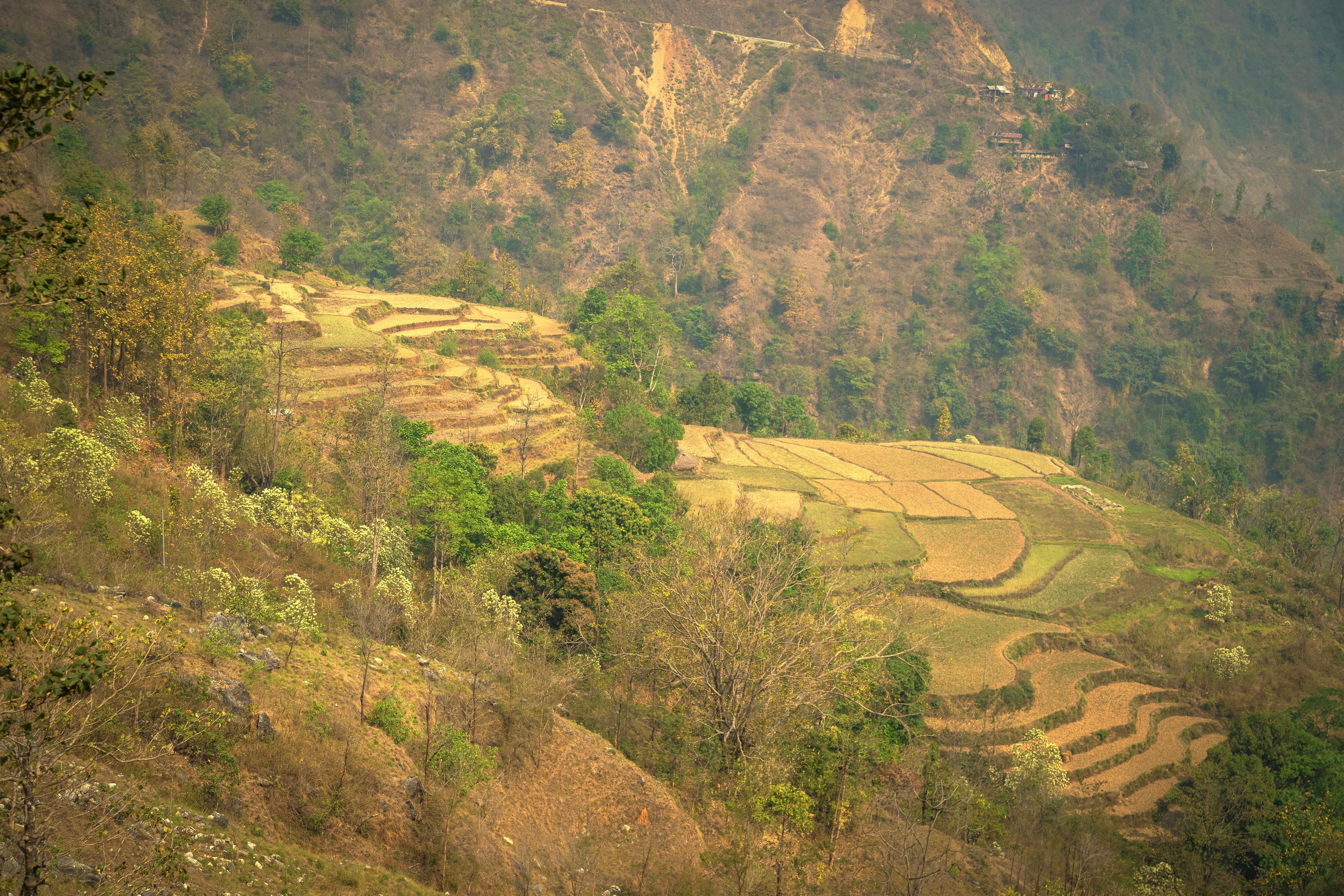 Sadi Background Photos, Download The BEST Free Sadi Background Stock ...