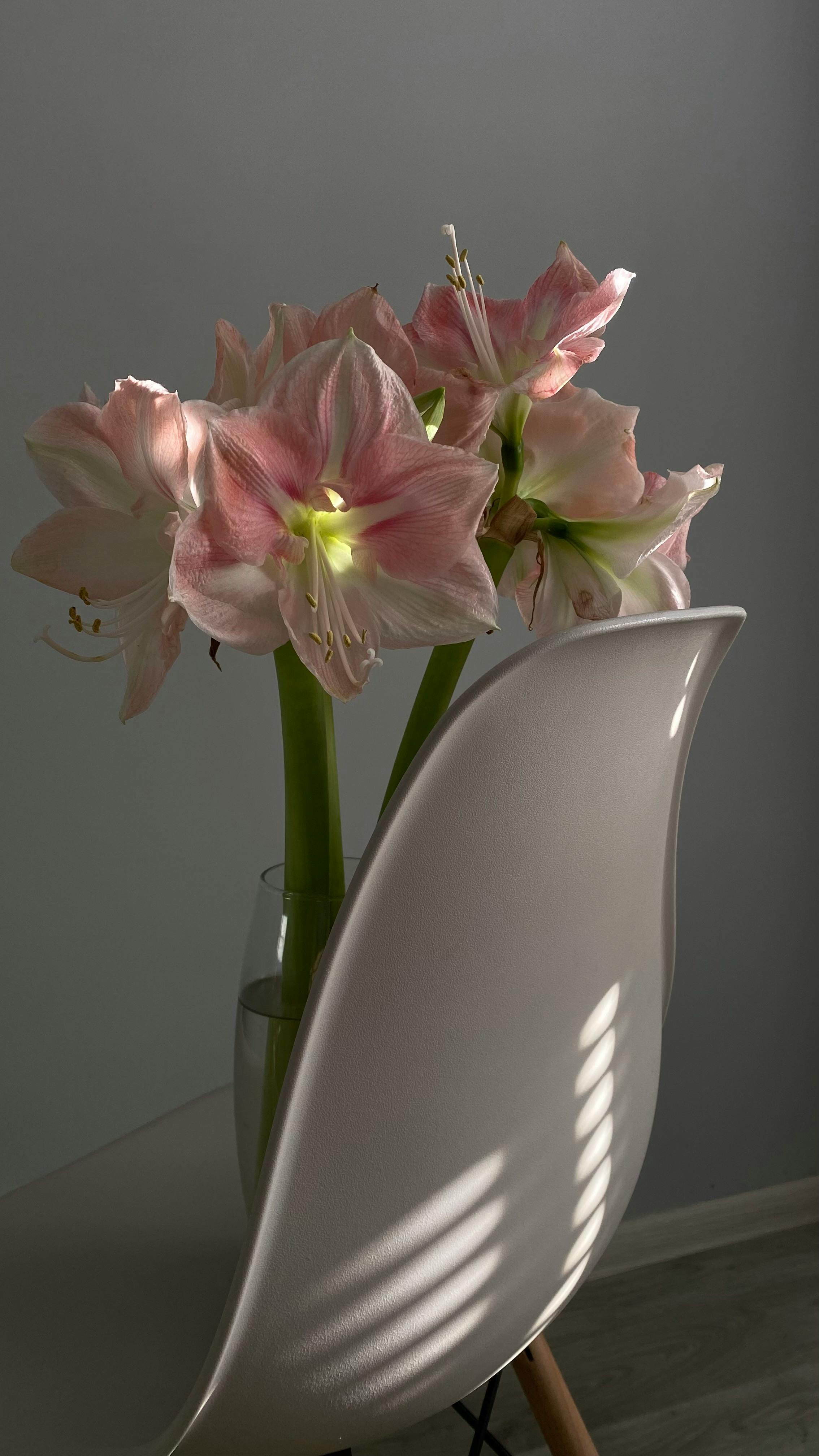 Aesthetic Pink Pfp Photos, Download The BEST Free Aesthetic Pink Pfp ...