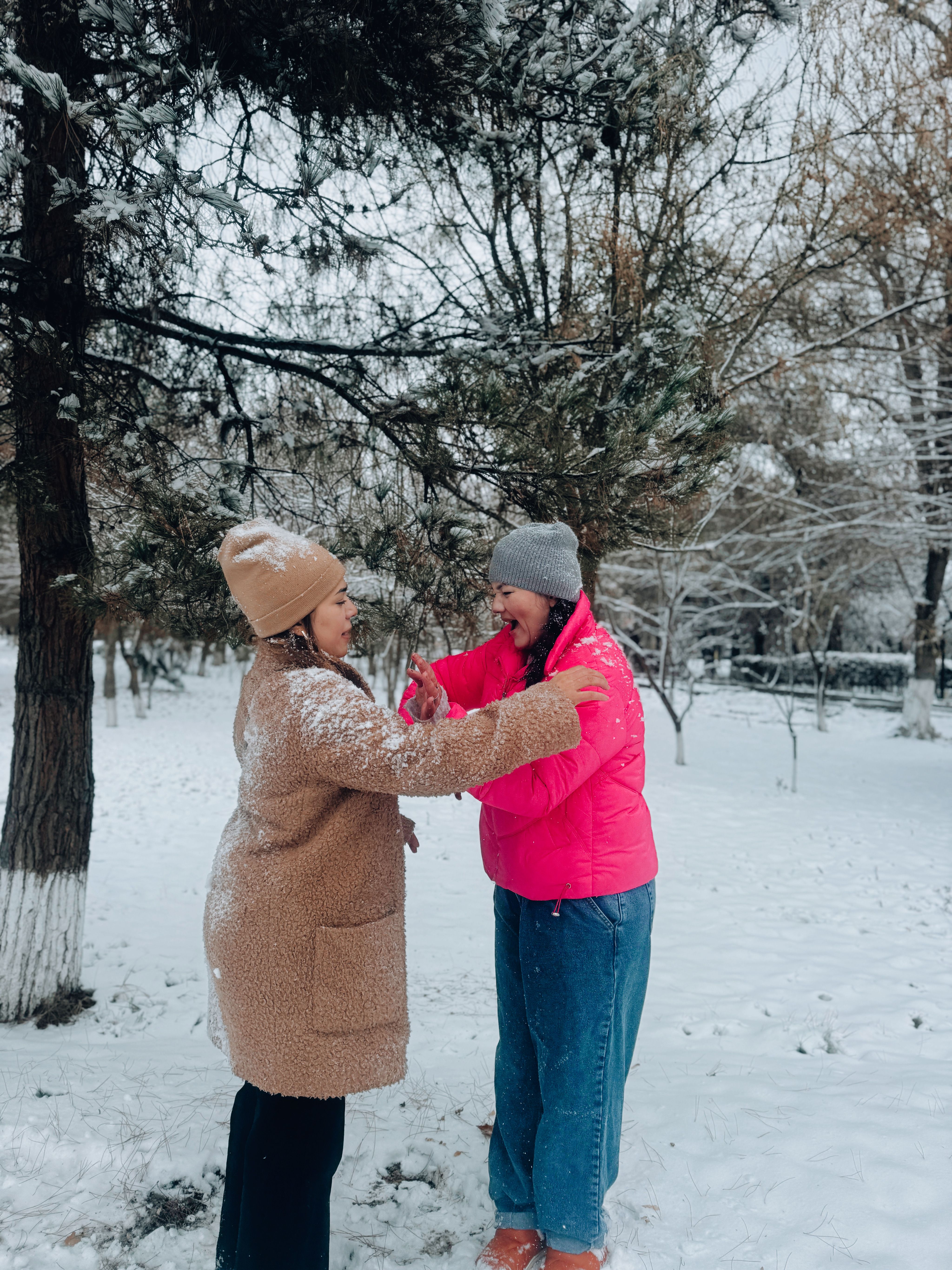 Snowy Day Photos, Download The BEST Free Snowy Day Stock Photos & HD Images