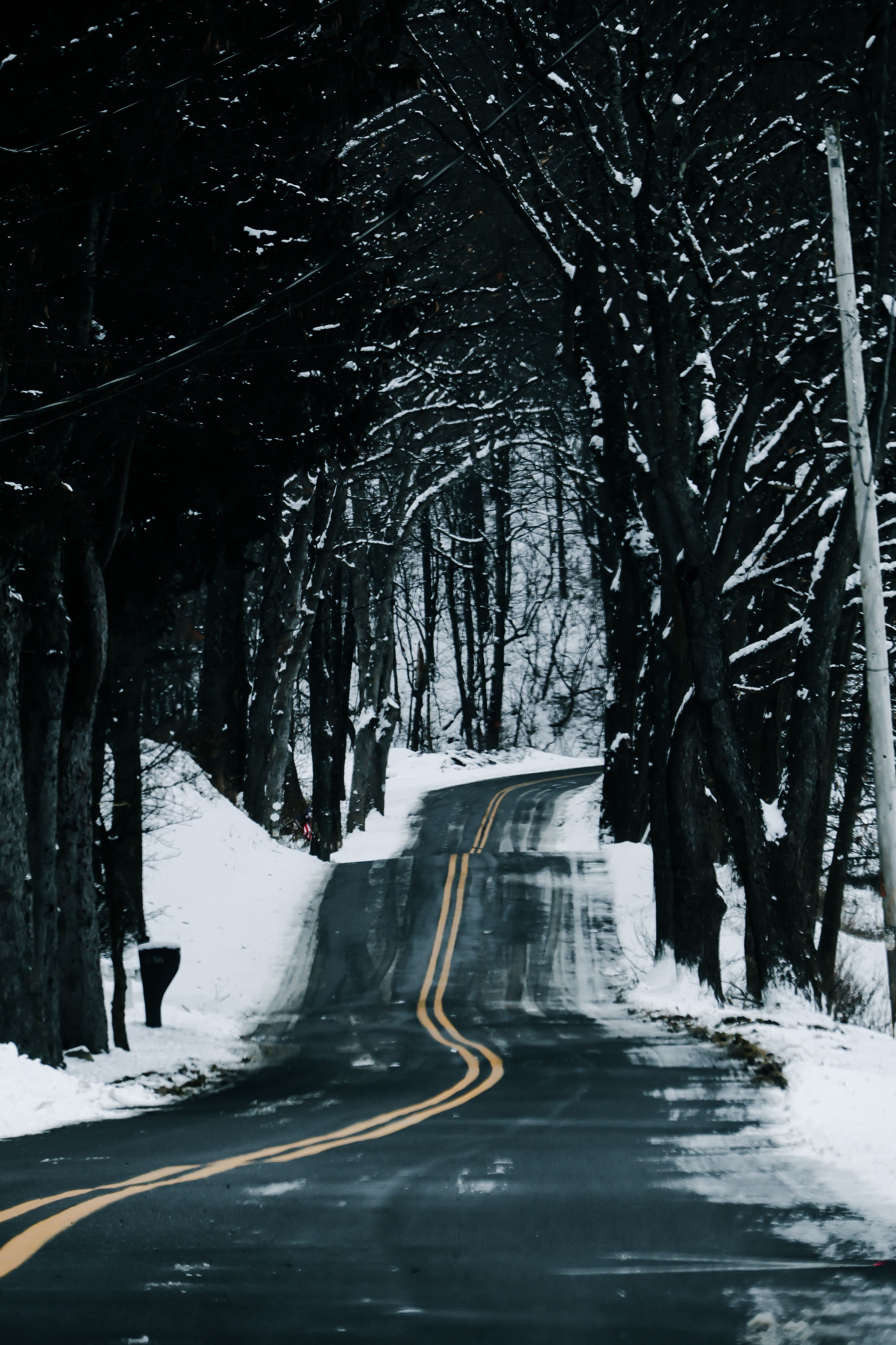 Winter Road through Snowy Forest · Free Stock Photo
