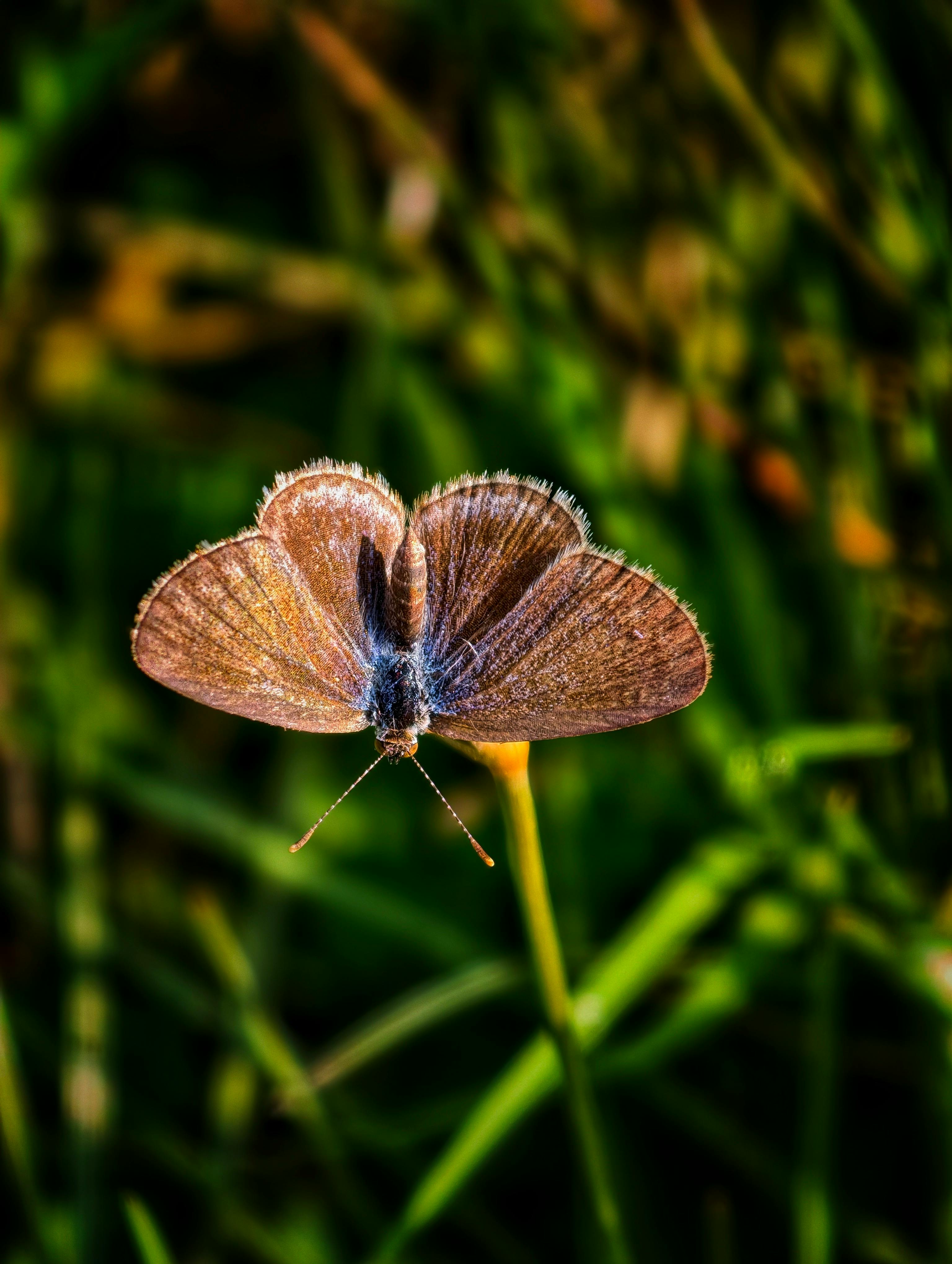 Small Photos, Download The BEST Free Small Stock Photos & HD Images