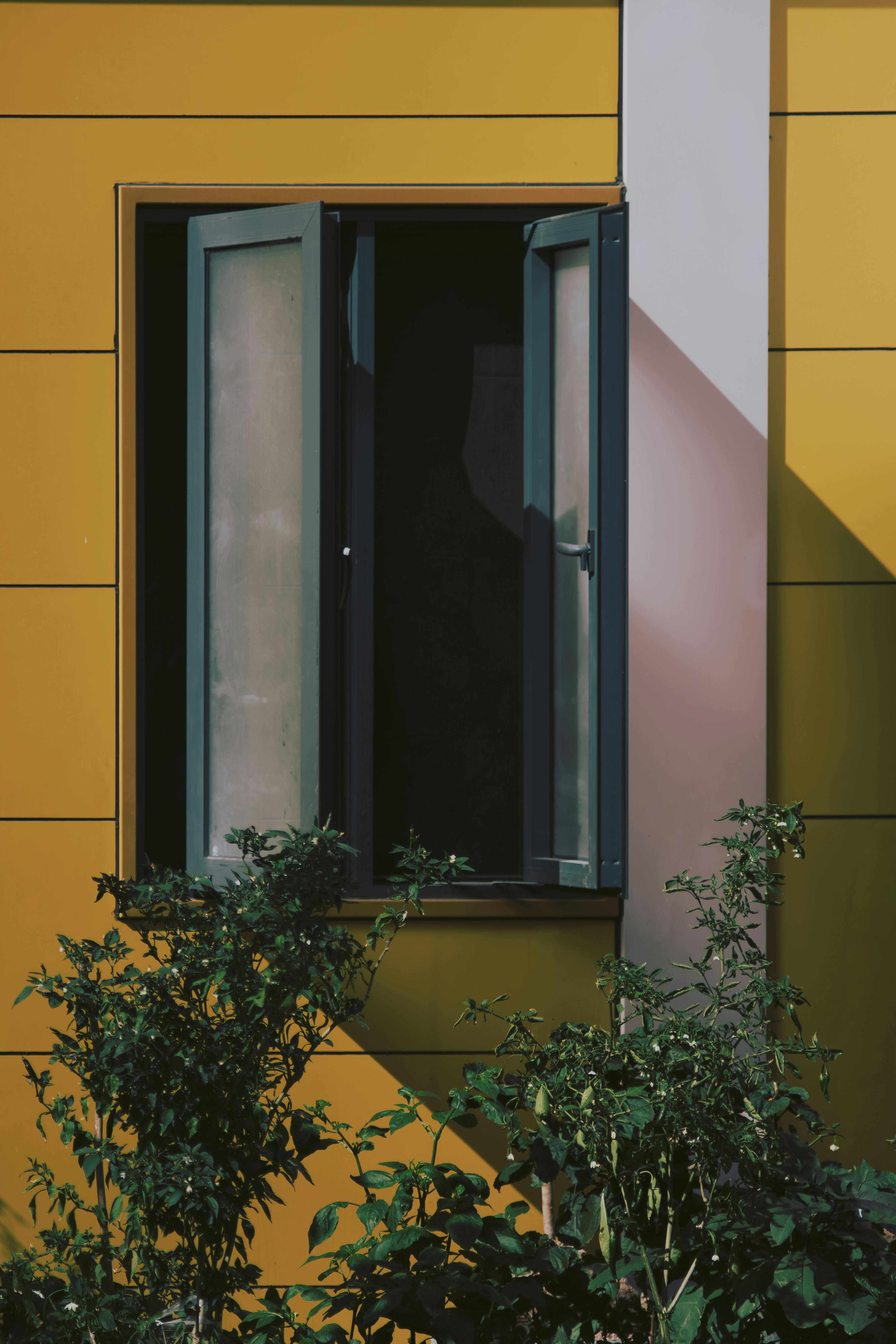 Japanese+Aesthetic+Pfp Photos, Download The BEST Free Japanese ...