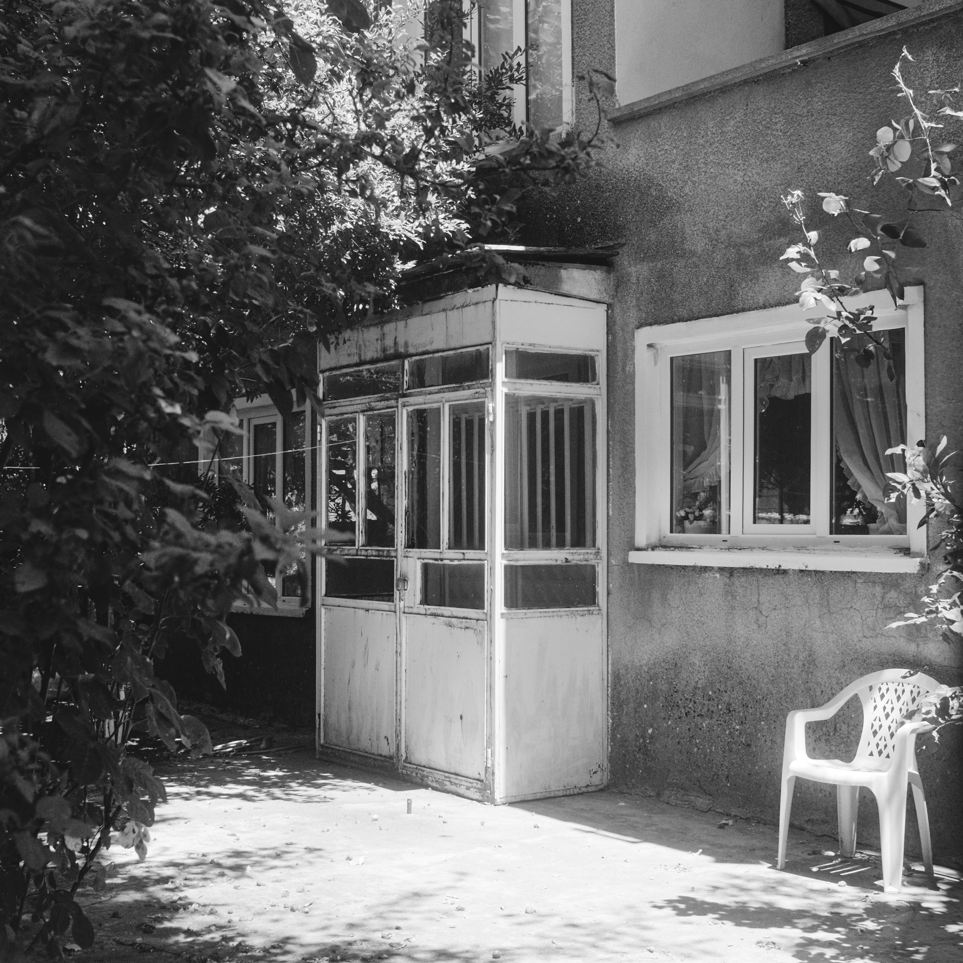 Vintage Black and White Backyard Scene · Free Stock Photo
