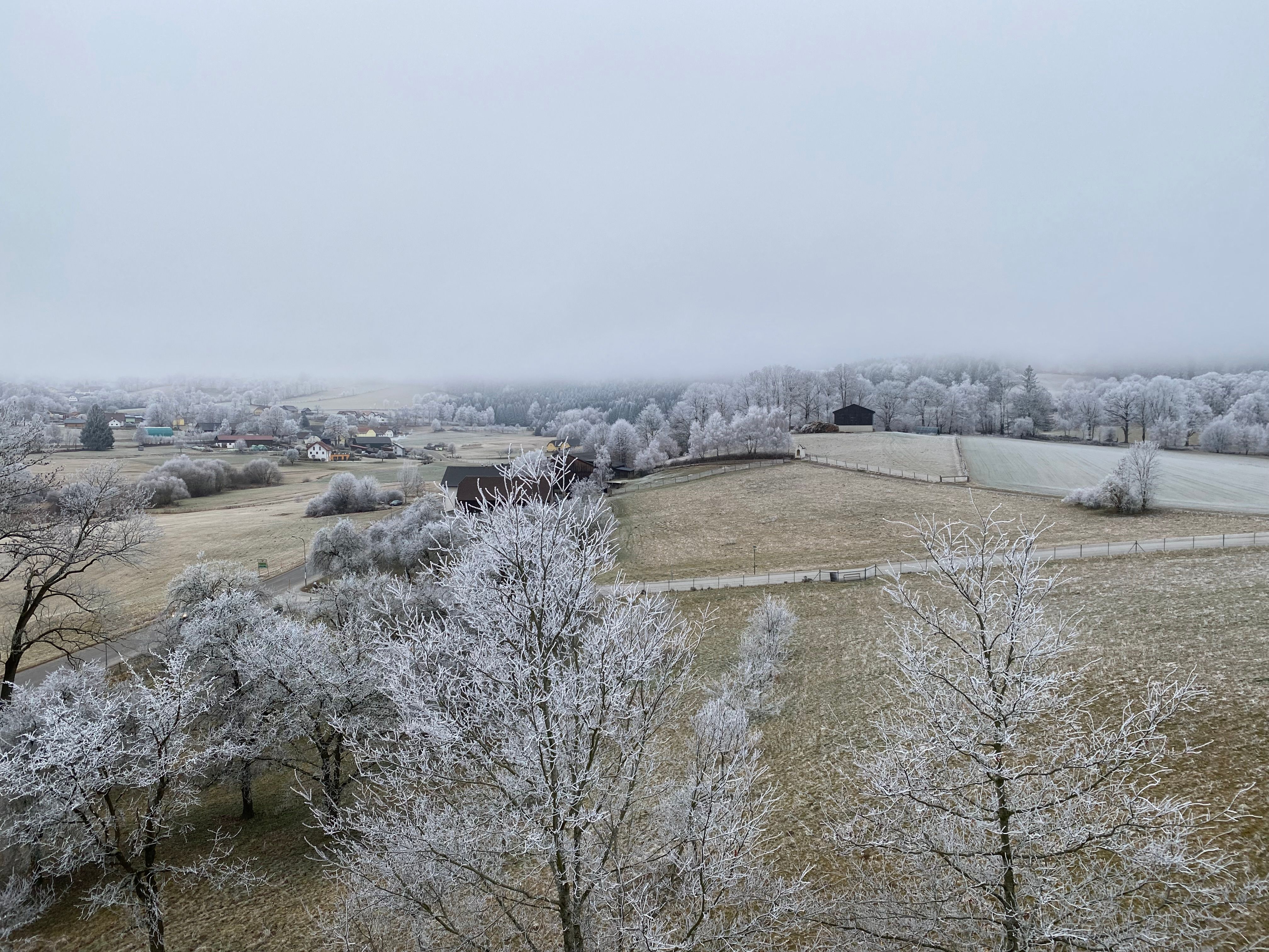 Hoarfrost In Oisterwijk, Netherlands Photos, Download The BEST Free ...