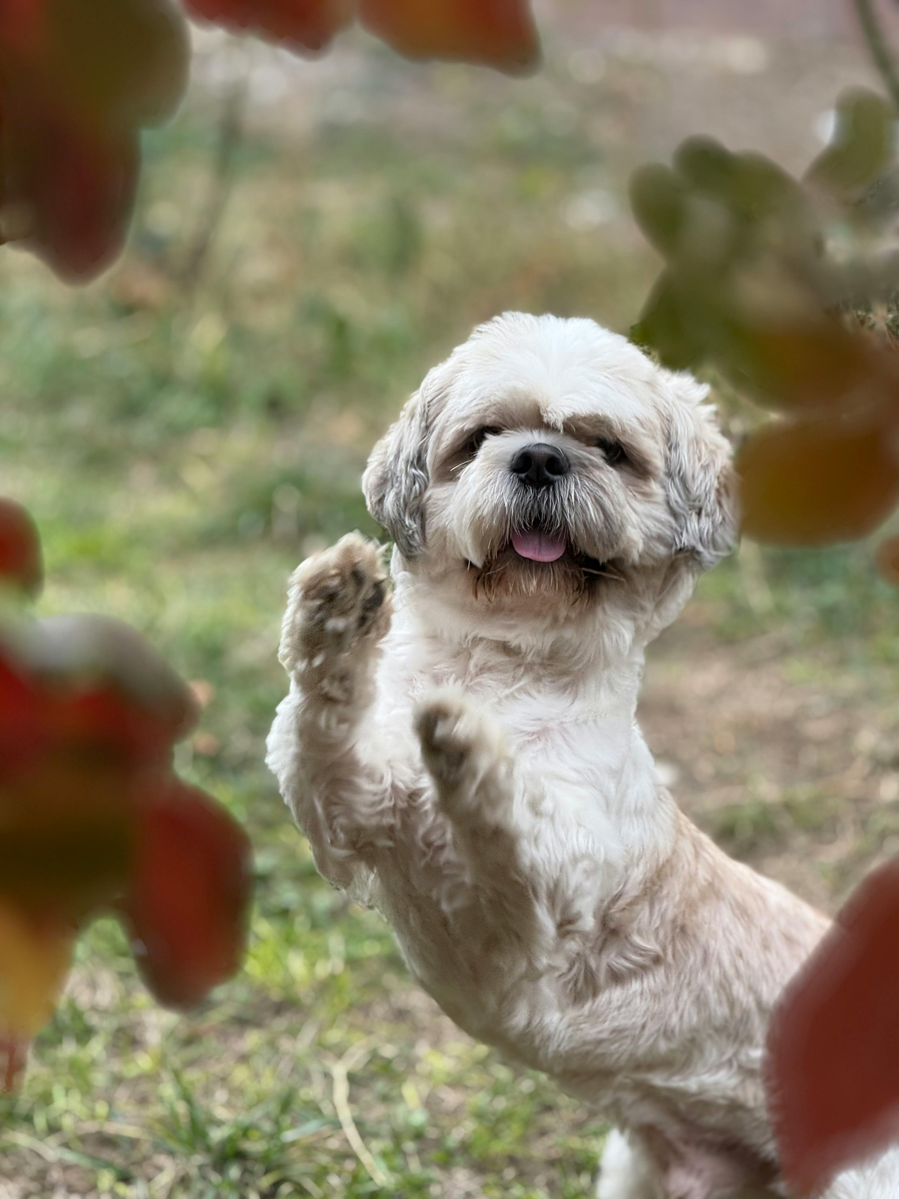 Cute+Budding+Tween+Girl Photos, Download The BEST Free Cute+Budding ...