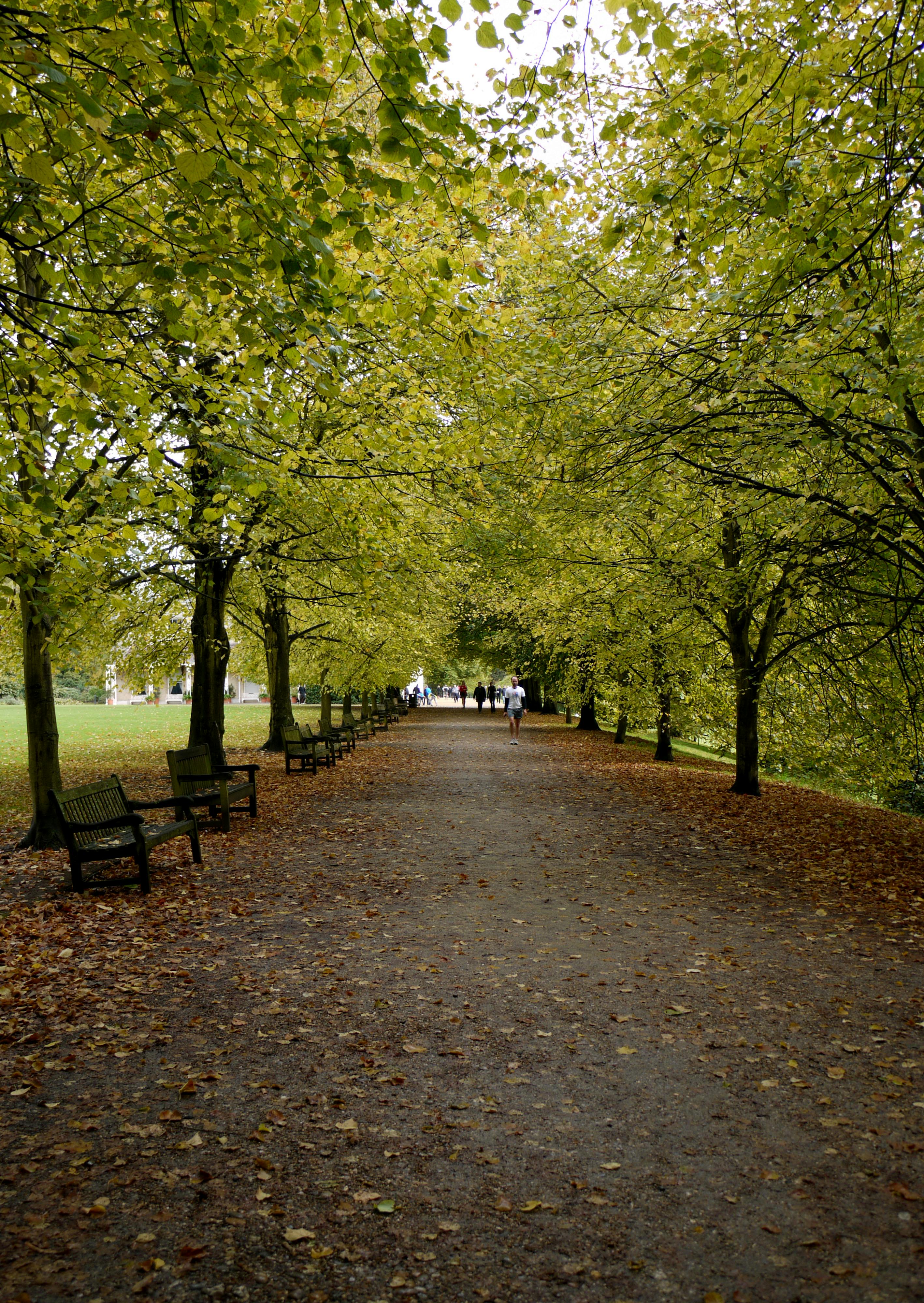 20.000+ beste Enge foto's · 100% gratis downloaden · Pexels-stockfoto's