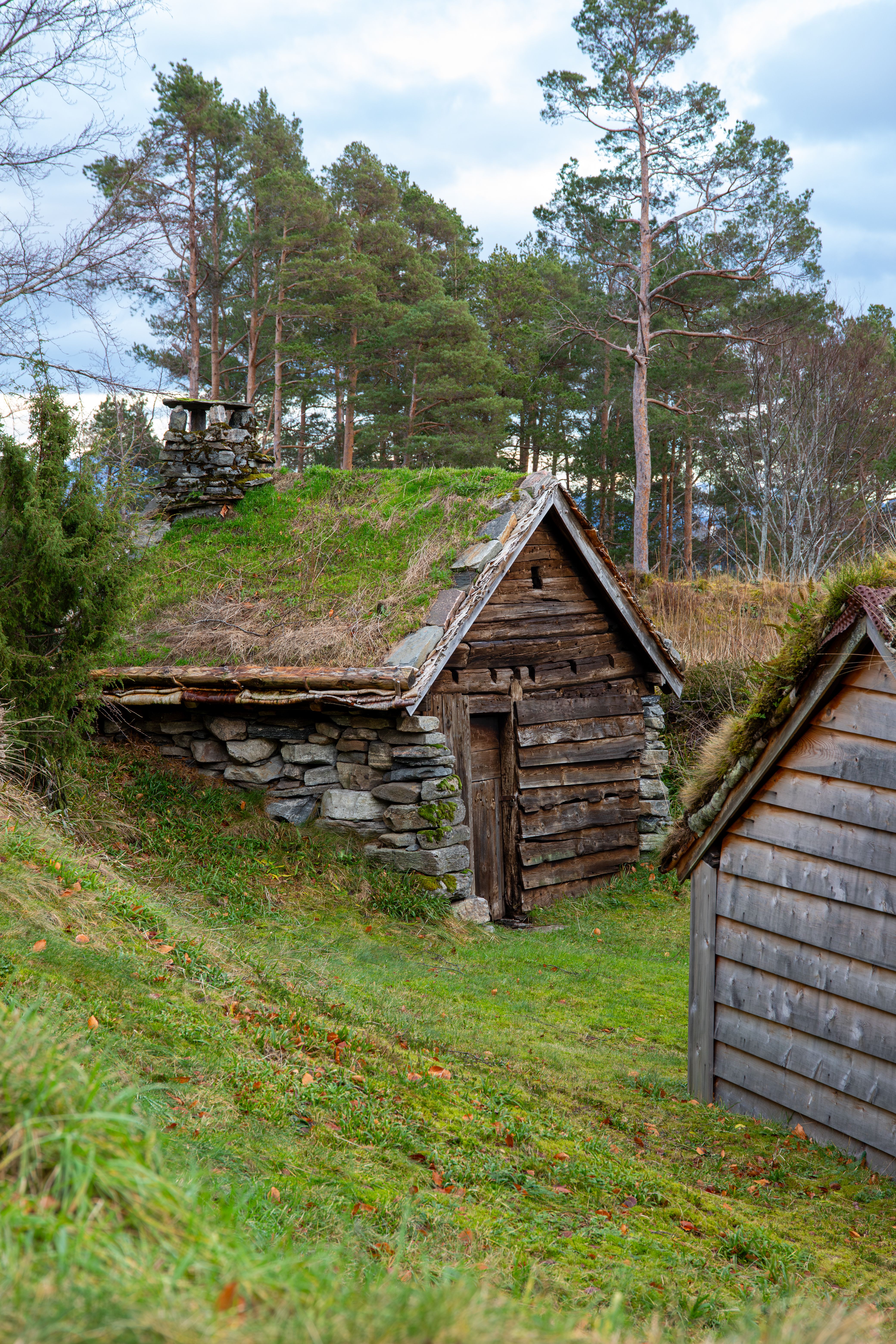 Traditional Norwegian Sod Roof Cabin in Forest · Free Stock Photo