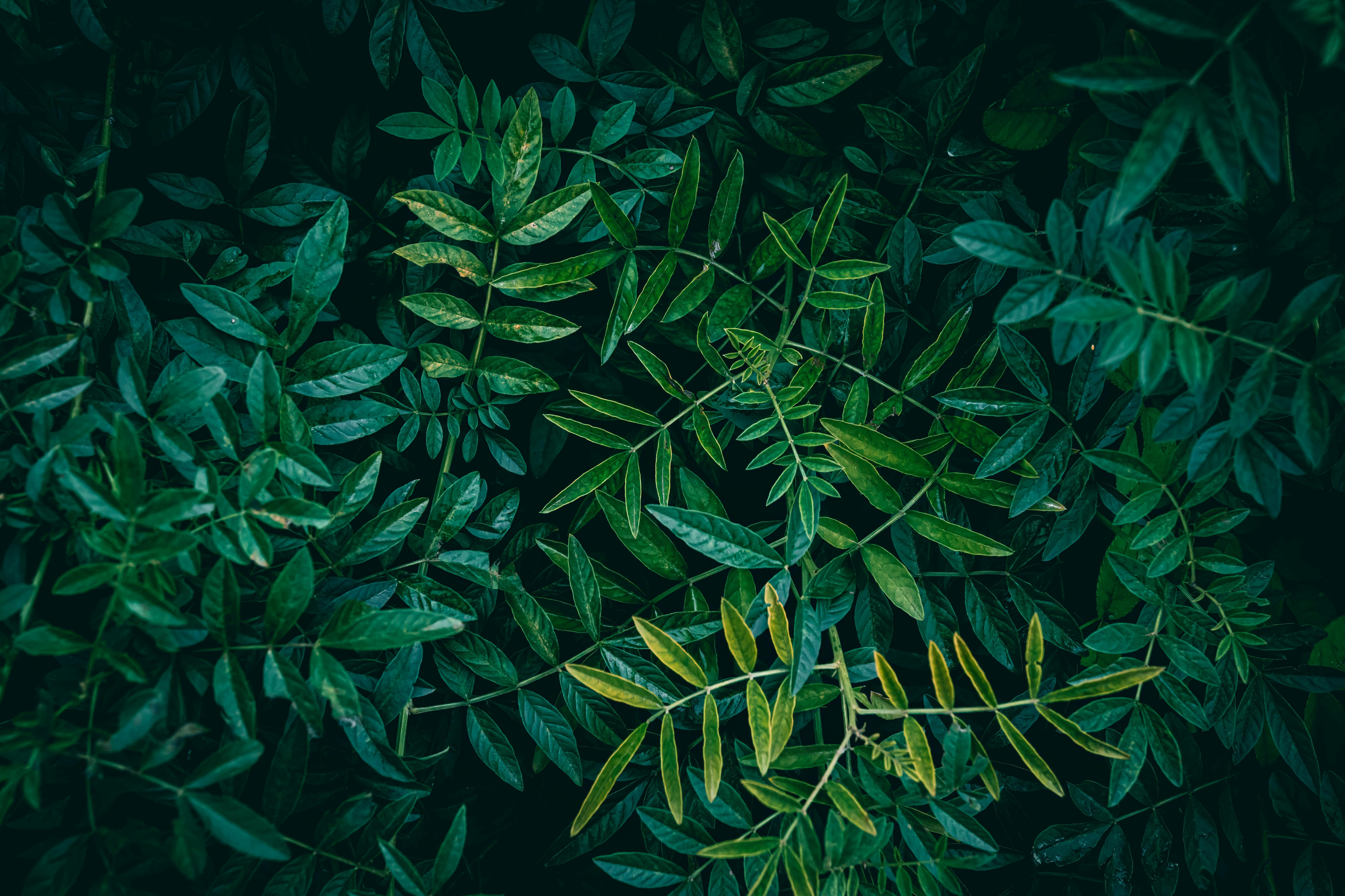 6+7+Wallpaper Photos, Download The BEST Free 6+7+Wallpaper Stock Photos ...