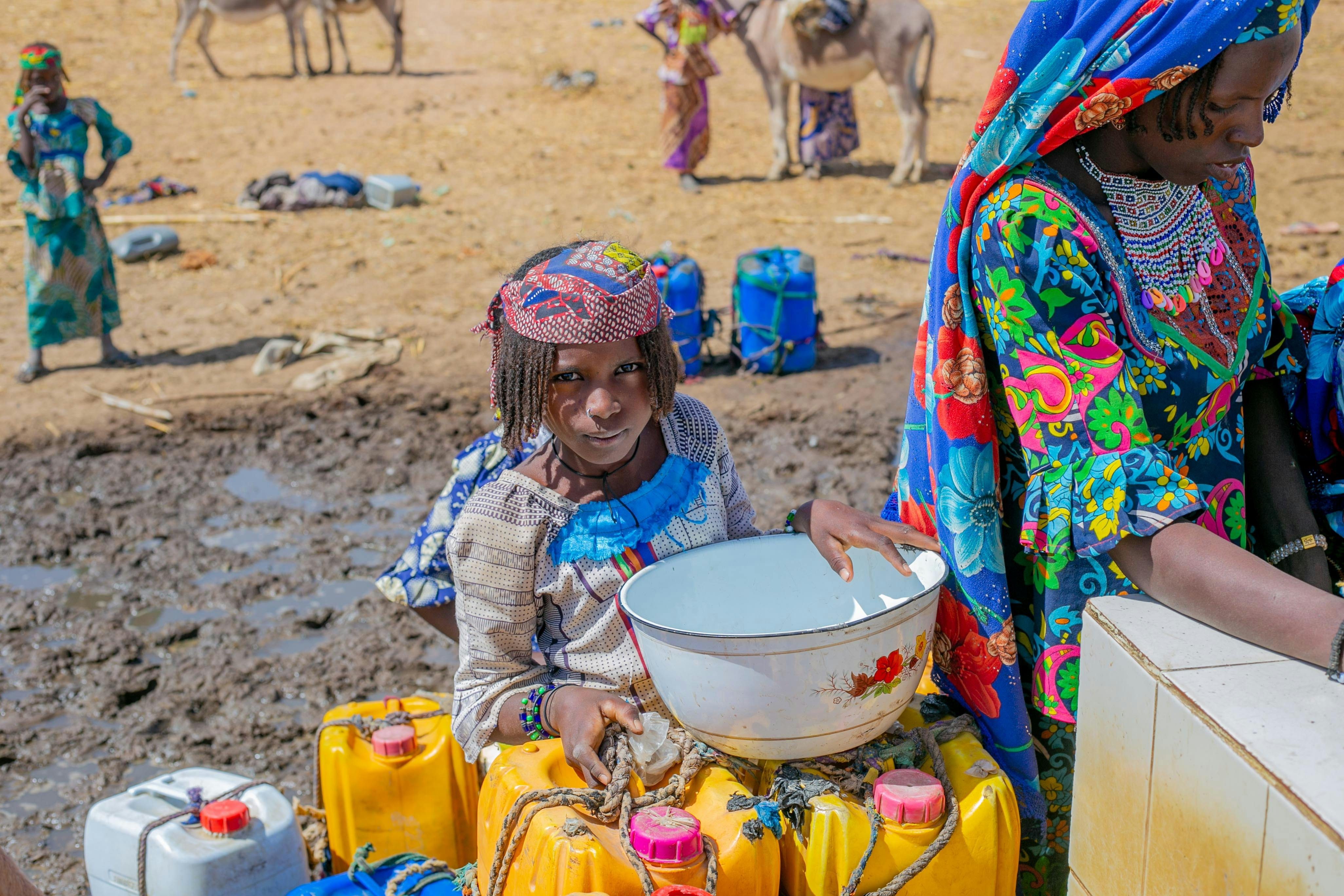 Scarcity Photos, Download The BEST Free Scarcity Stock Photos & HD Images