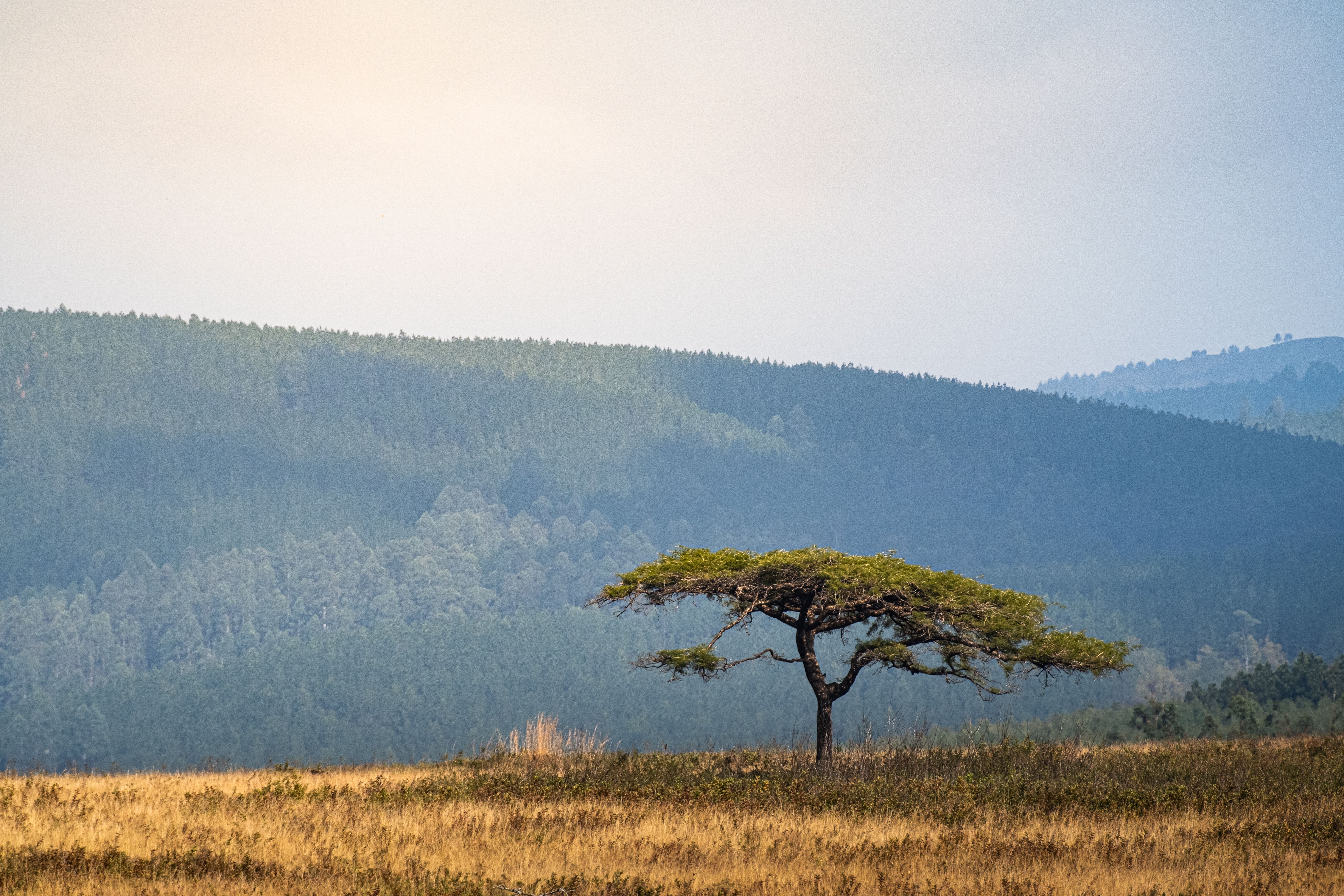 Horizontal Photos, Download The BEST Free Horizontal Stock Photos & HD ...