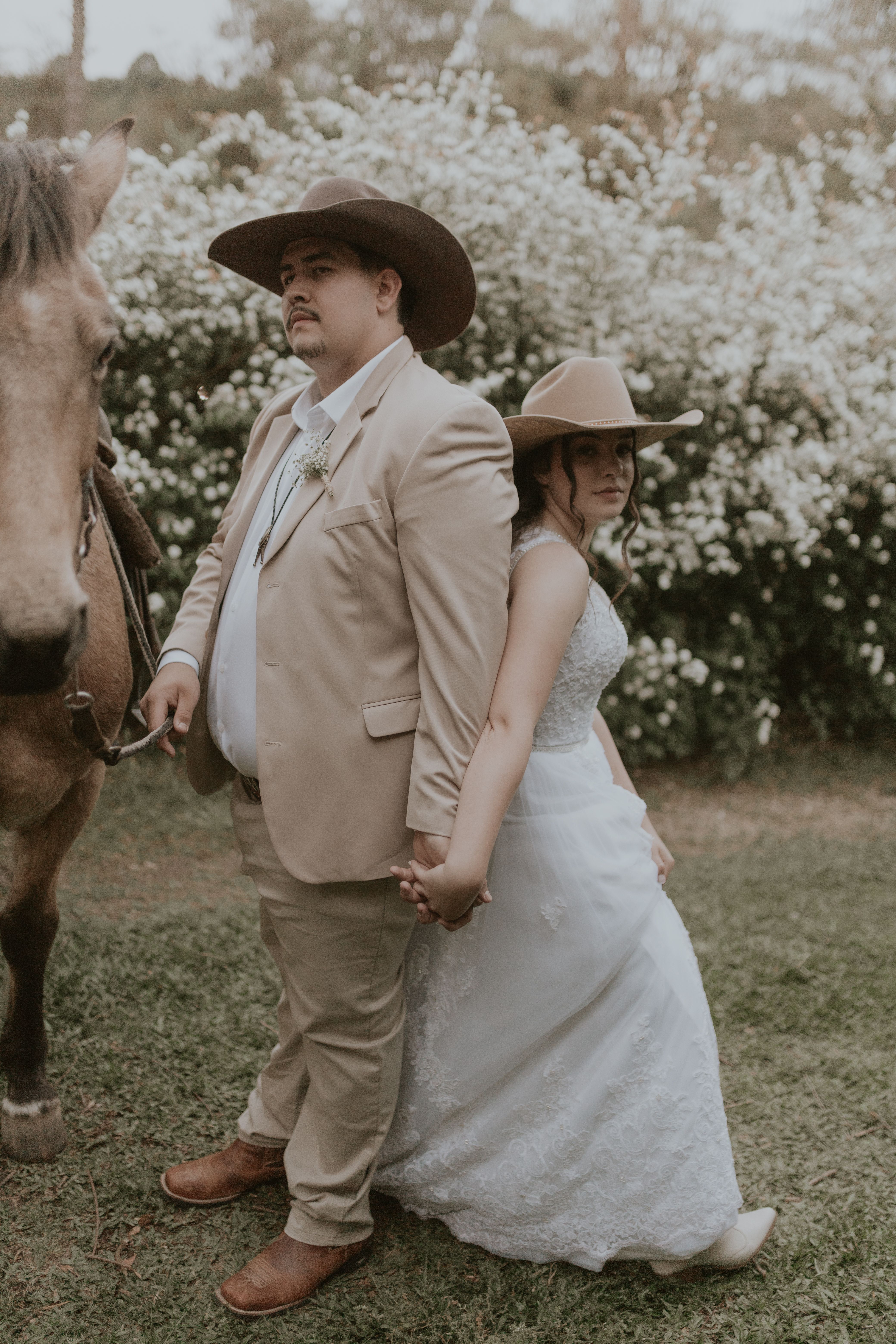 Rustic Wedding Couple with Horse Outdoors · Free Stock Photo