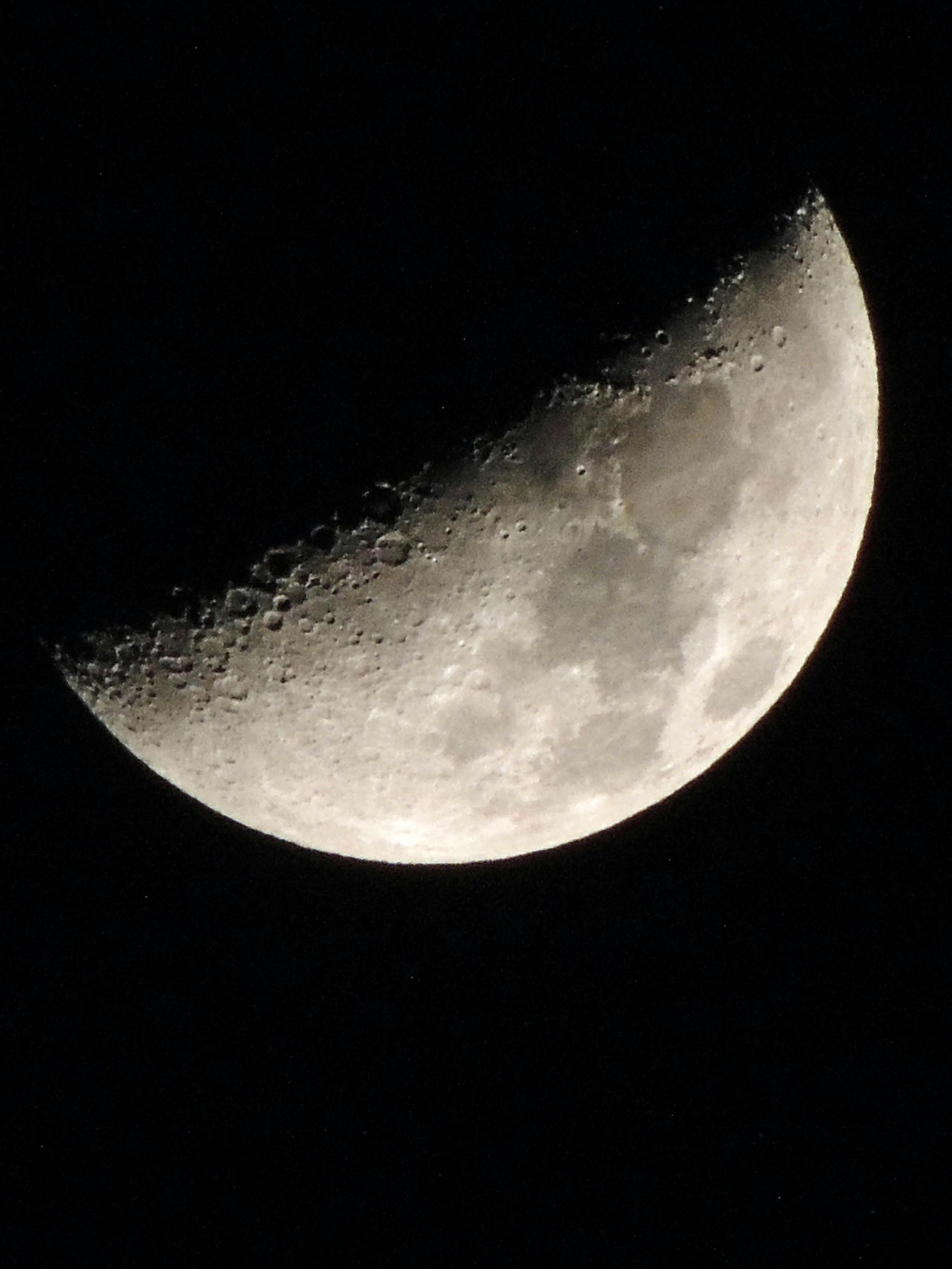 Moon Pfp Photos, Download The BEST Free Moon Pfp Stock Photos & HD Images