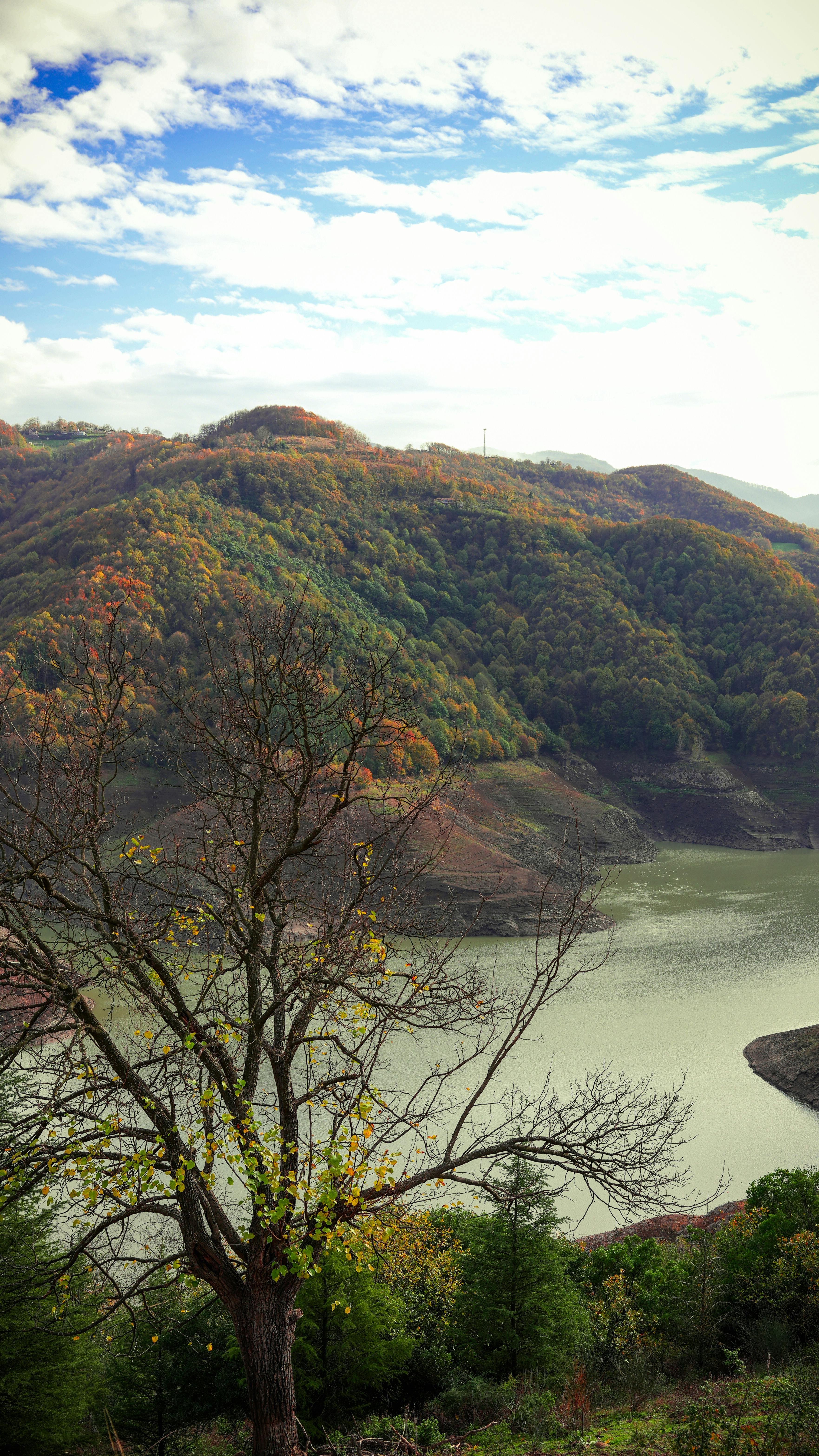 Uncanny Valley Photos, Download The BEST Free Uncanny Valley Stock ...