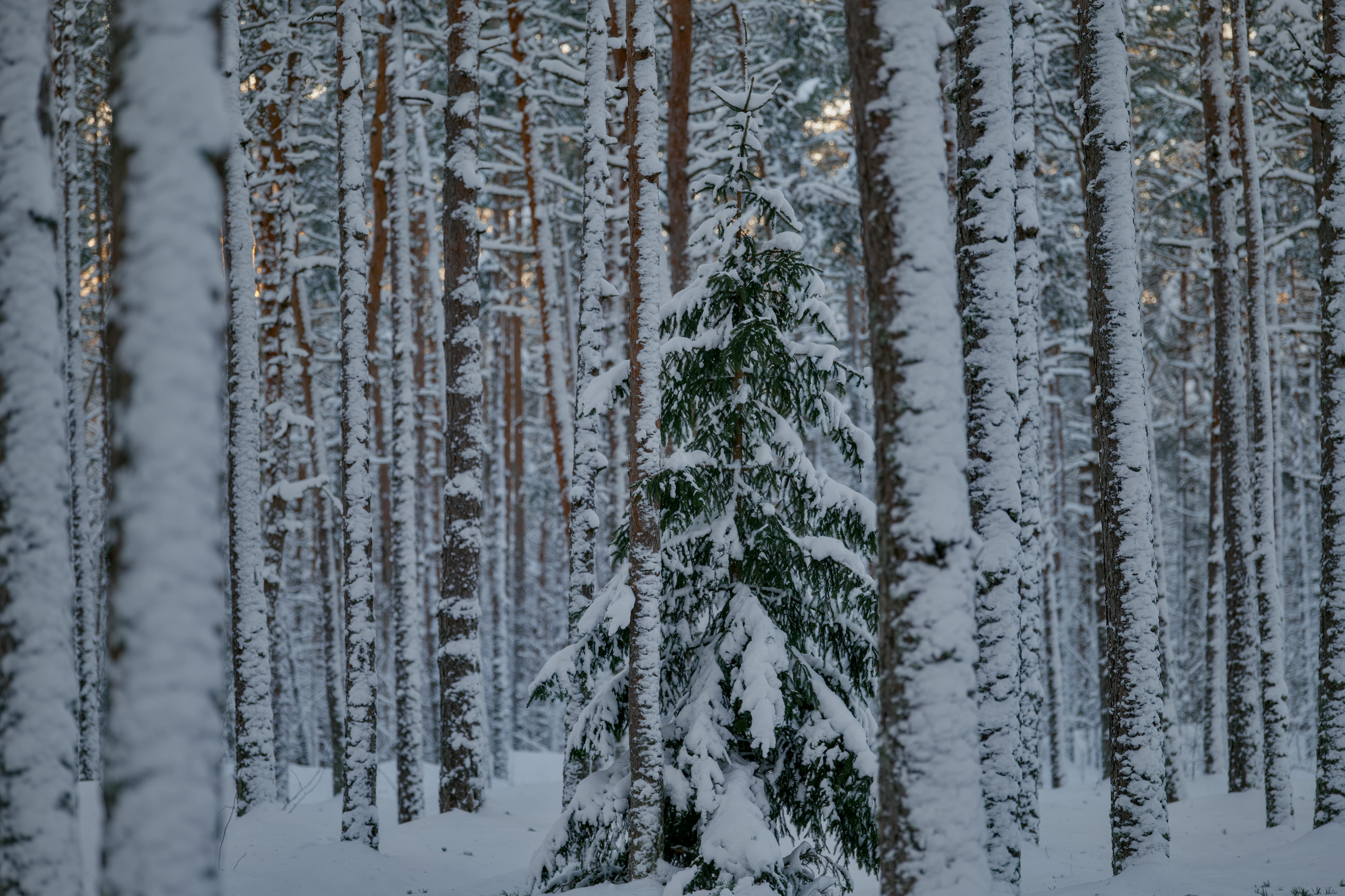 Cold+Tuesday+Morning+Images Photos, Download The BEST Free Cold+Tuesday ...