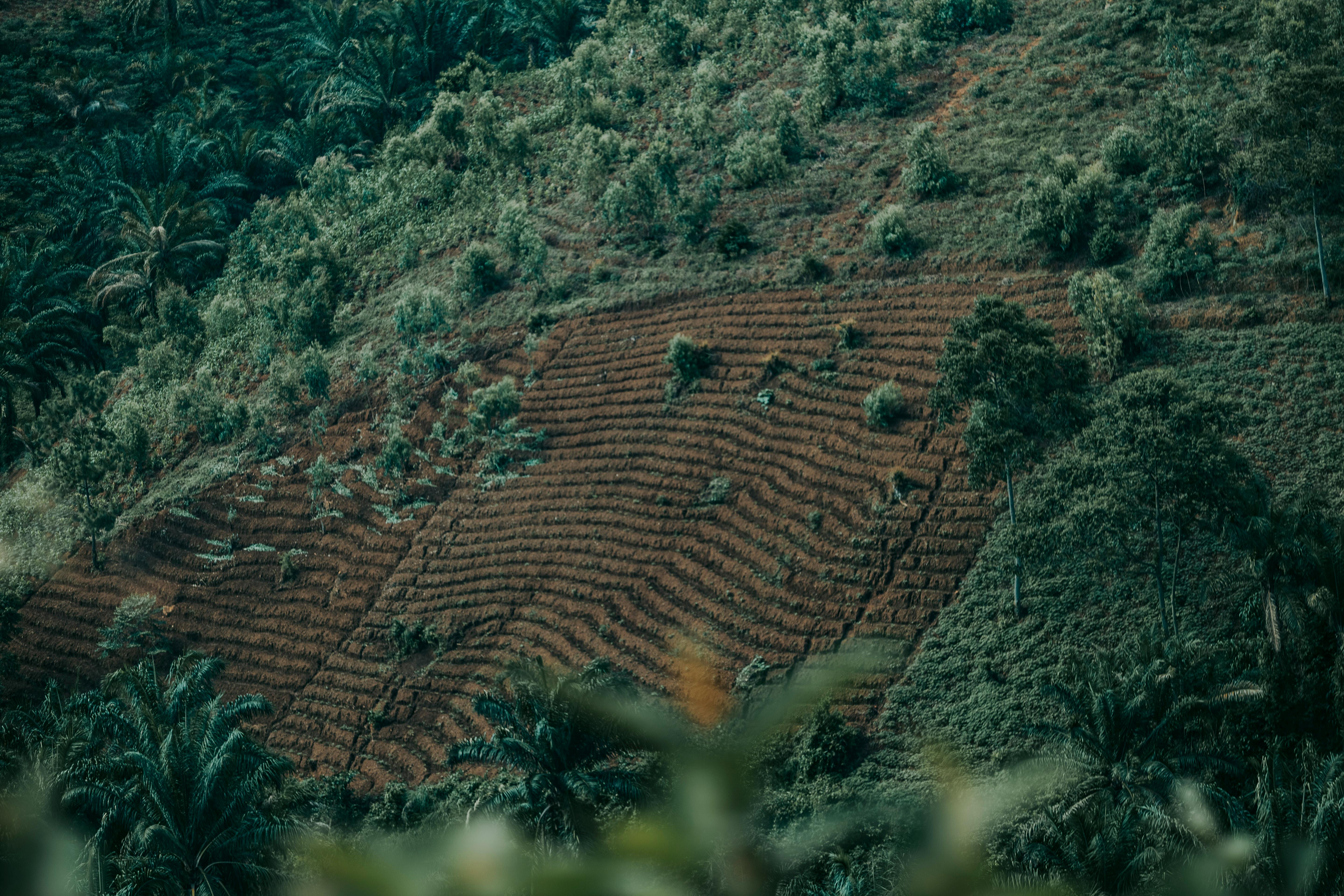 Aura Farming Photos, Download The BEST Free Aura Farming Stock Photos ...