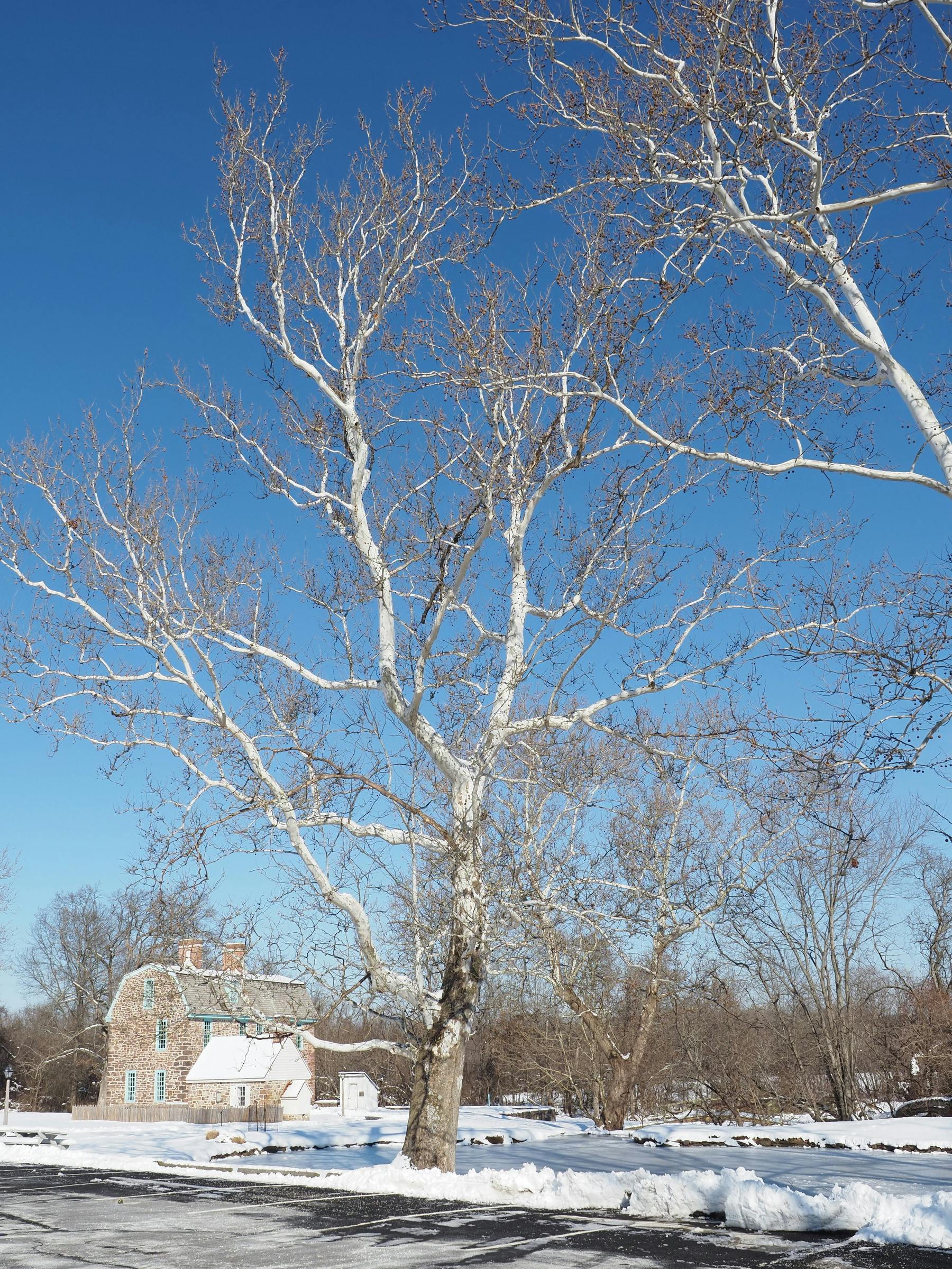 Cold+Tuesday+Morning+Images Photos, Download The BEST Free Cold+Tuesday ...