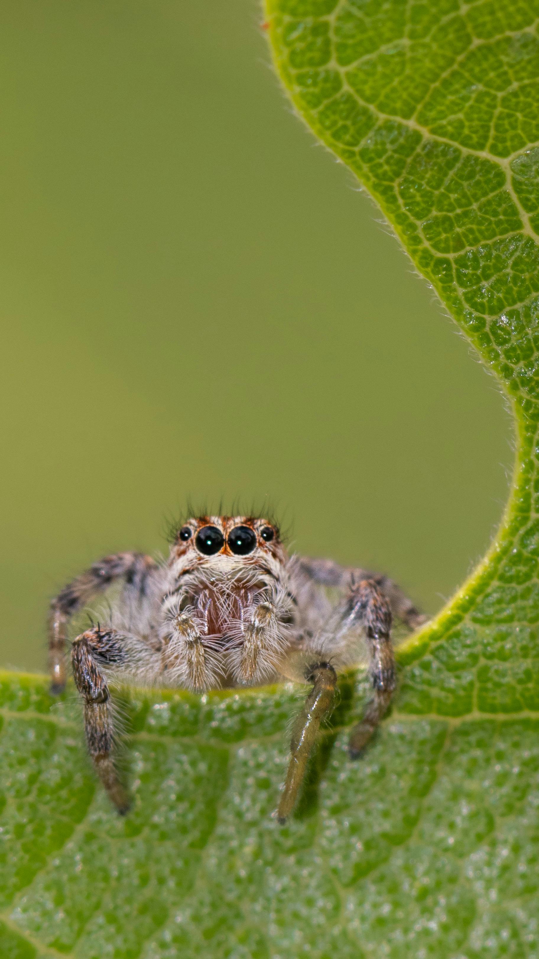 Classy+Legs Photos, Download The BEST Free Classy+Legs Stock Photos ...