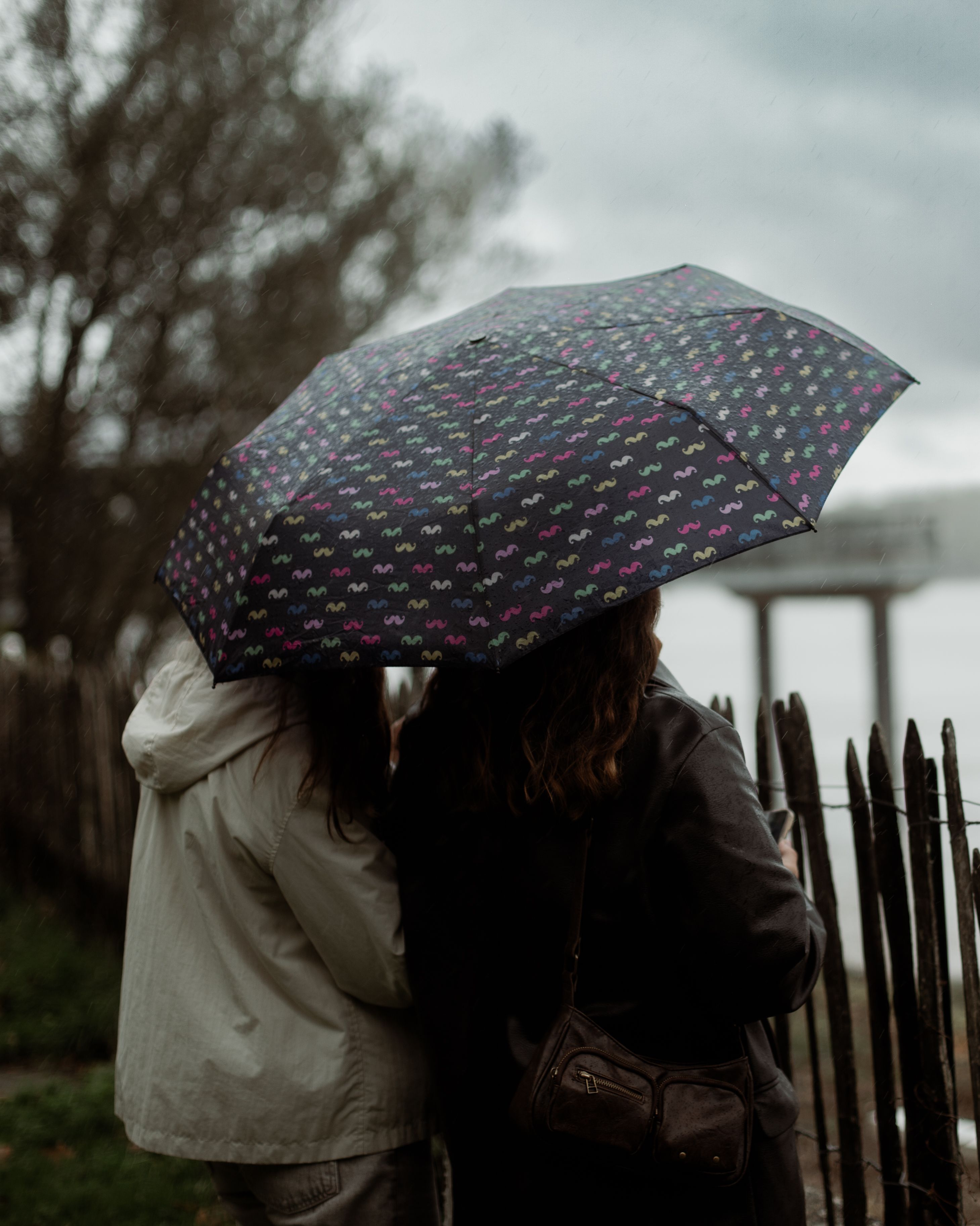 Rain Storm Photos, Download The BEST Free Rain Storm Stock Photos & HD ...