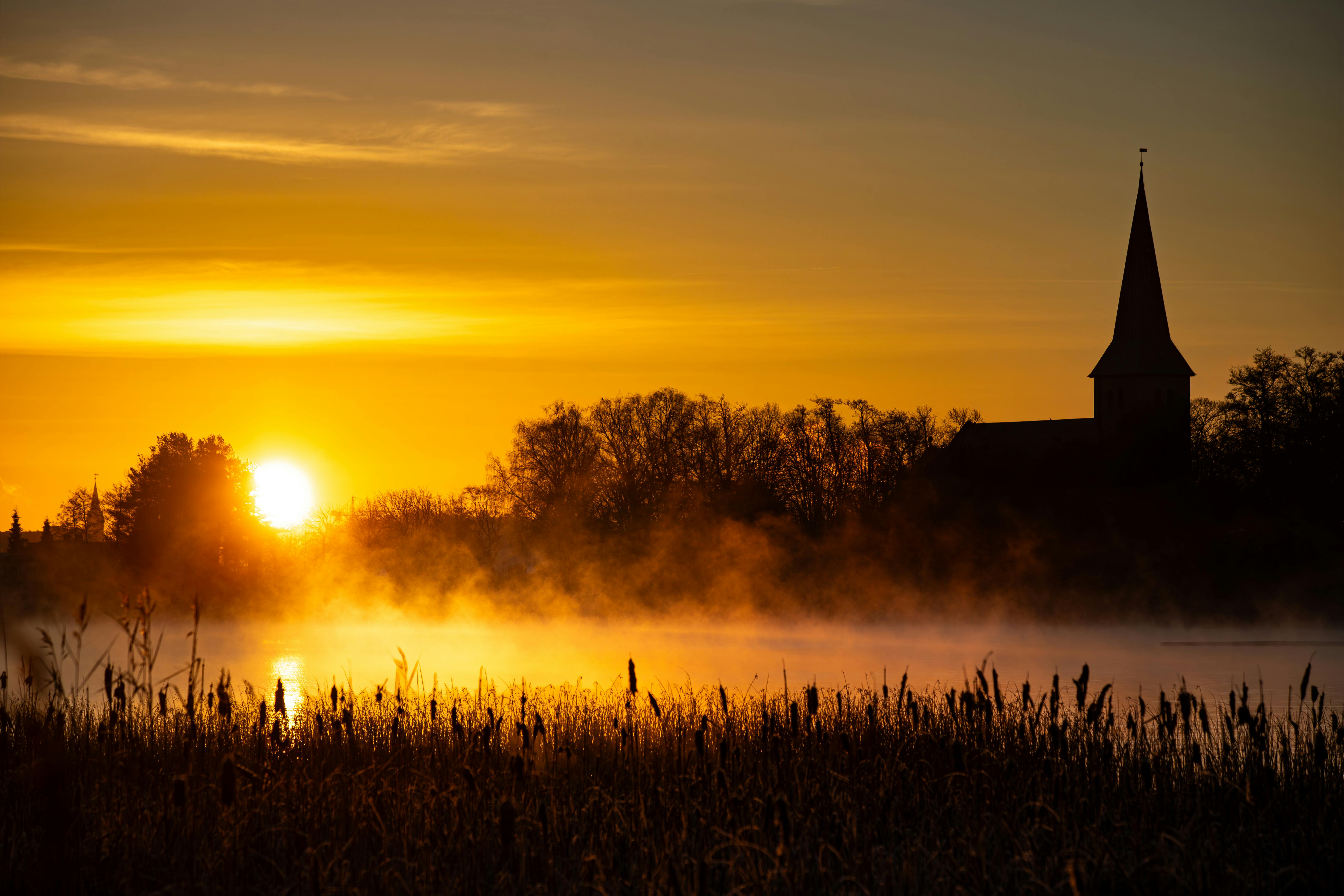 40 000+ beste Solbilder · 100 % gratis nedlasting · Pexels-arkivbilder