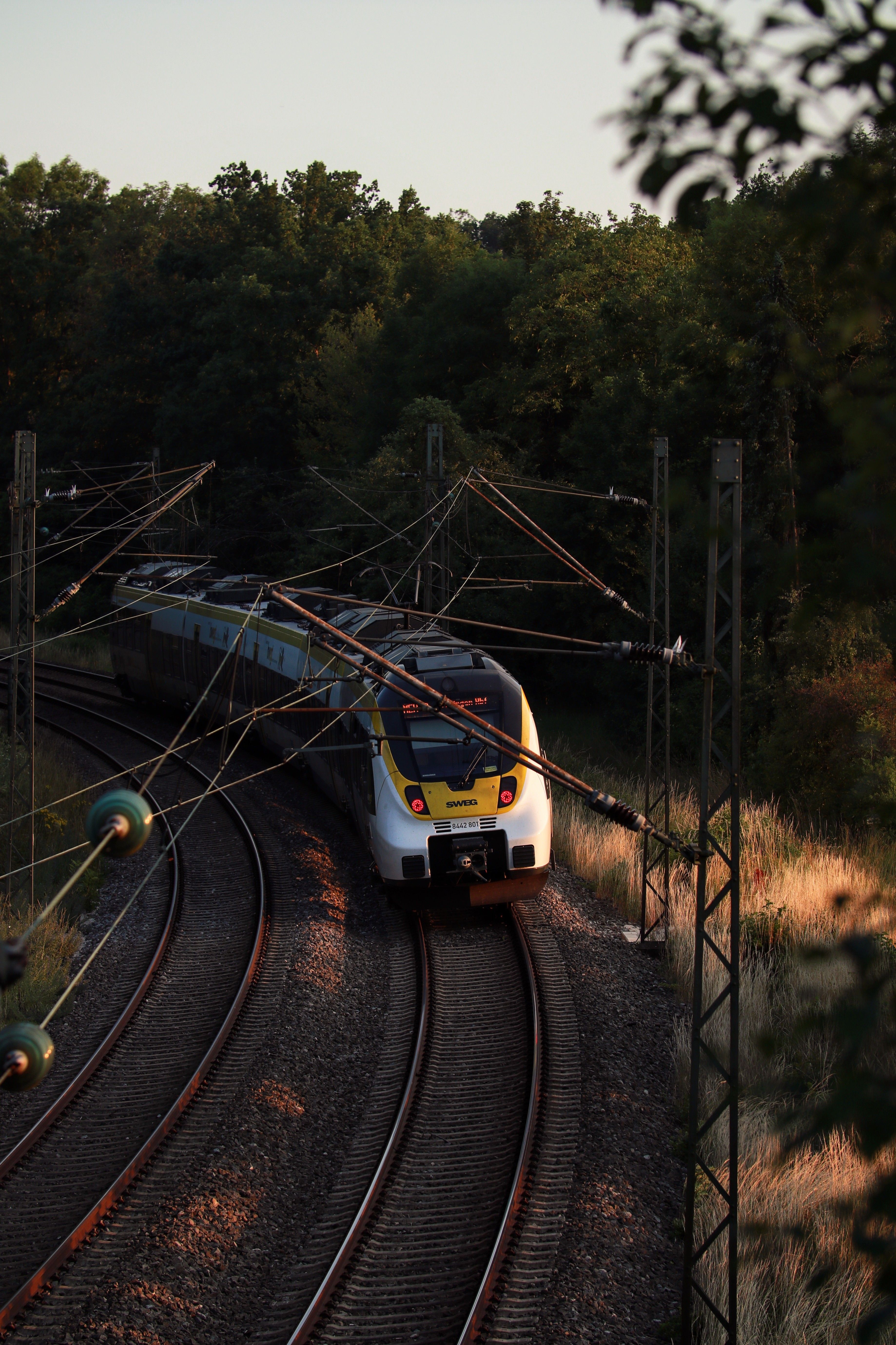 Passenger Train on Curved Forest Track at Dusk · Free Stock Photo