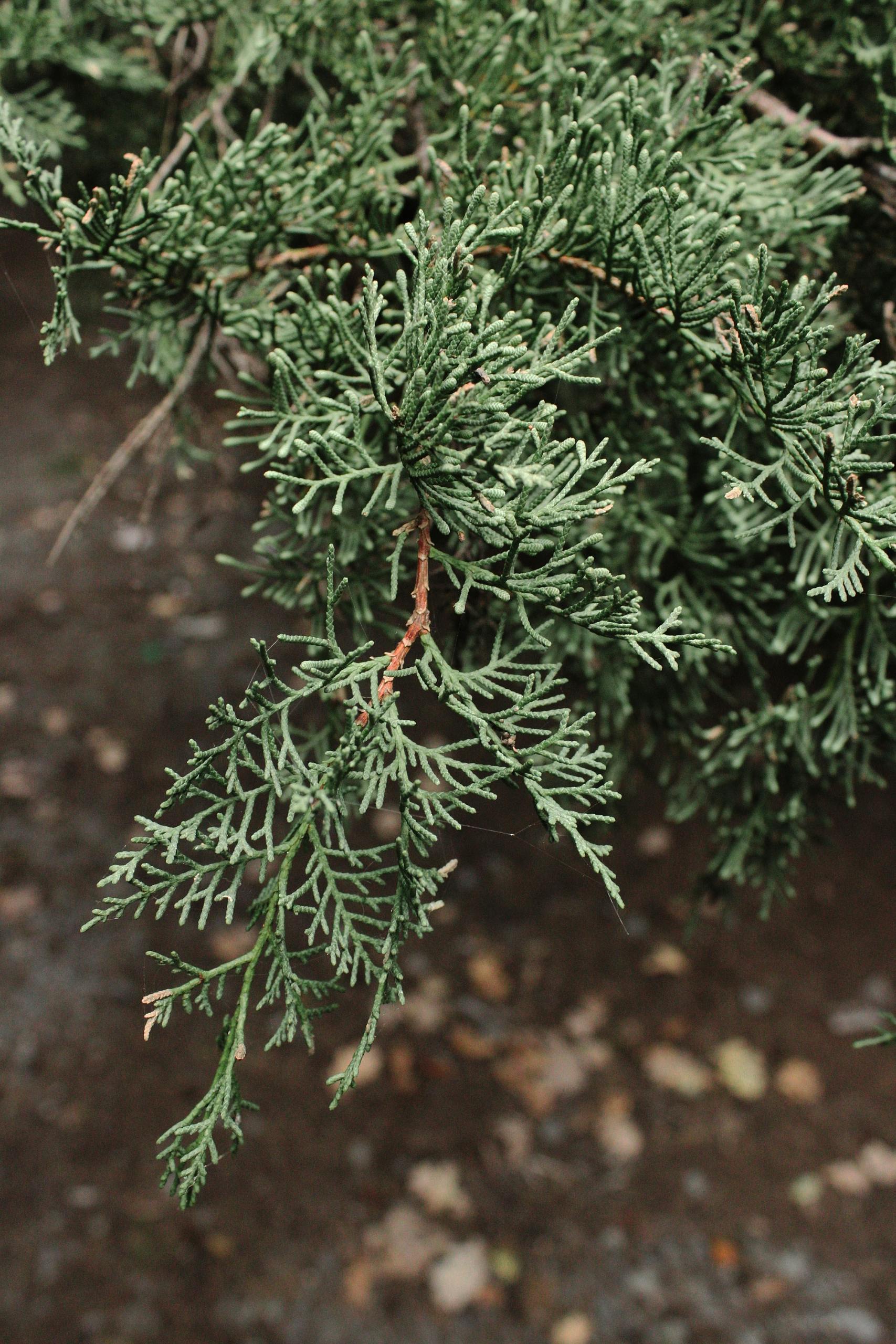 Admin Background Photos, Download The BEST Free Admin Background Stock ...