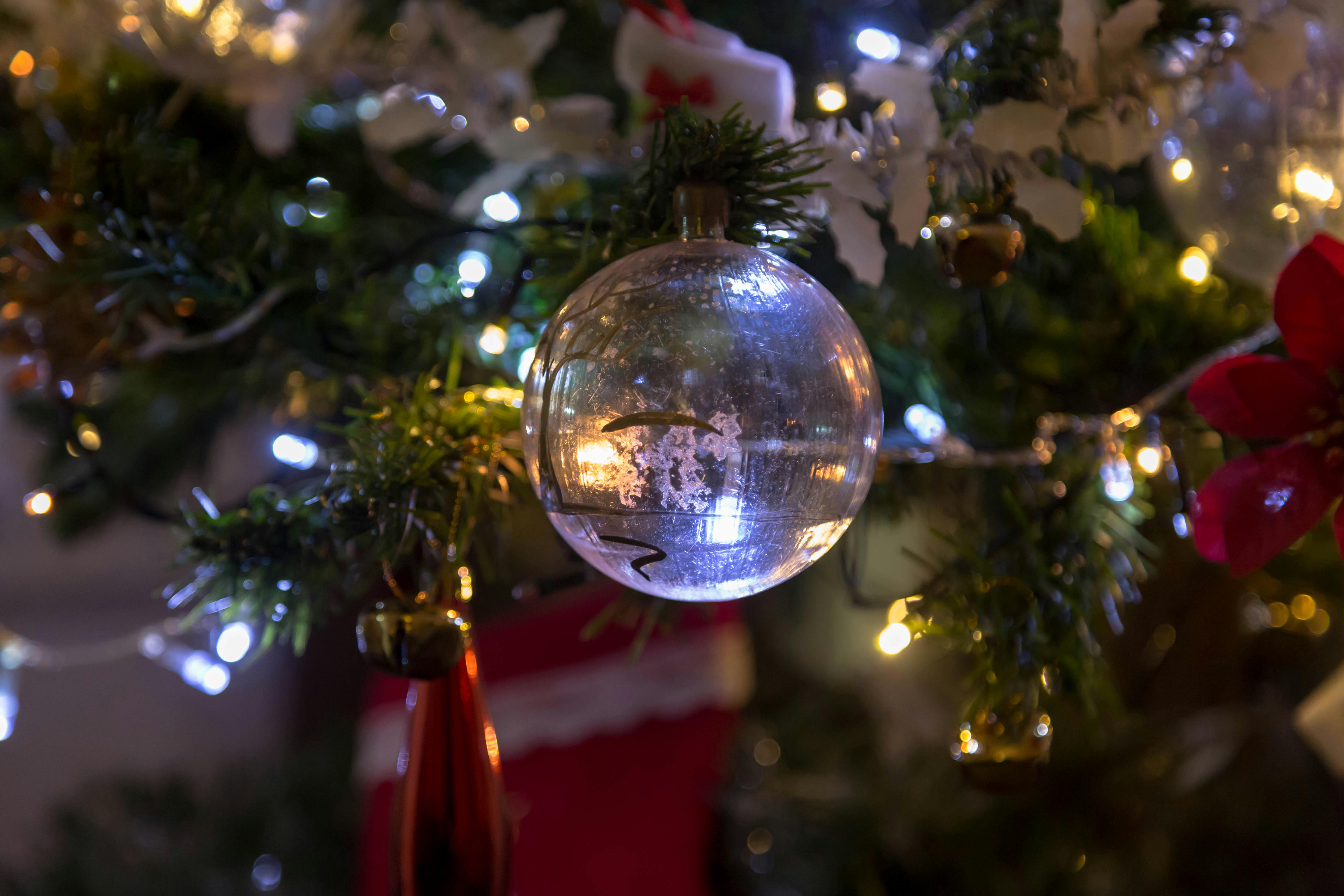 Christmas Footer Photos, Download The BEST Free Christmas Footer Stock ...