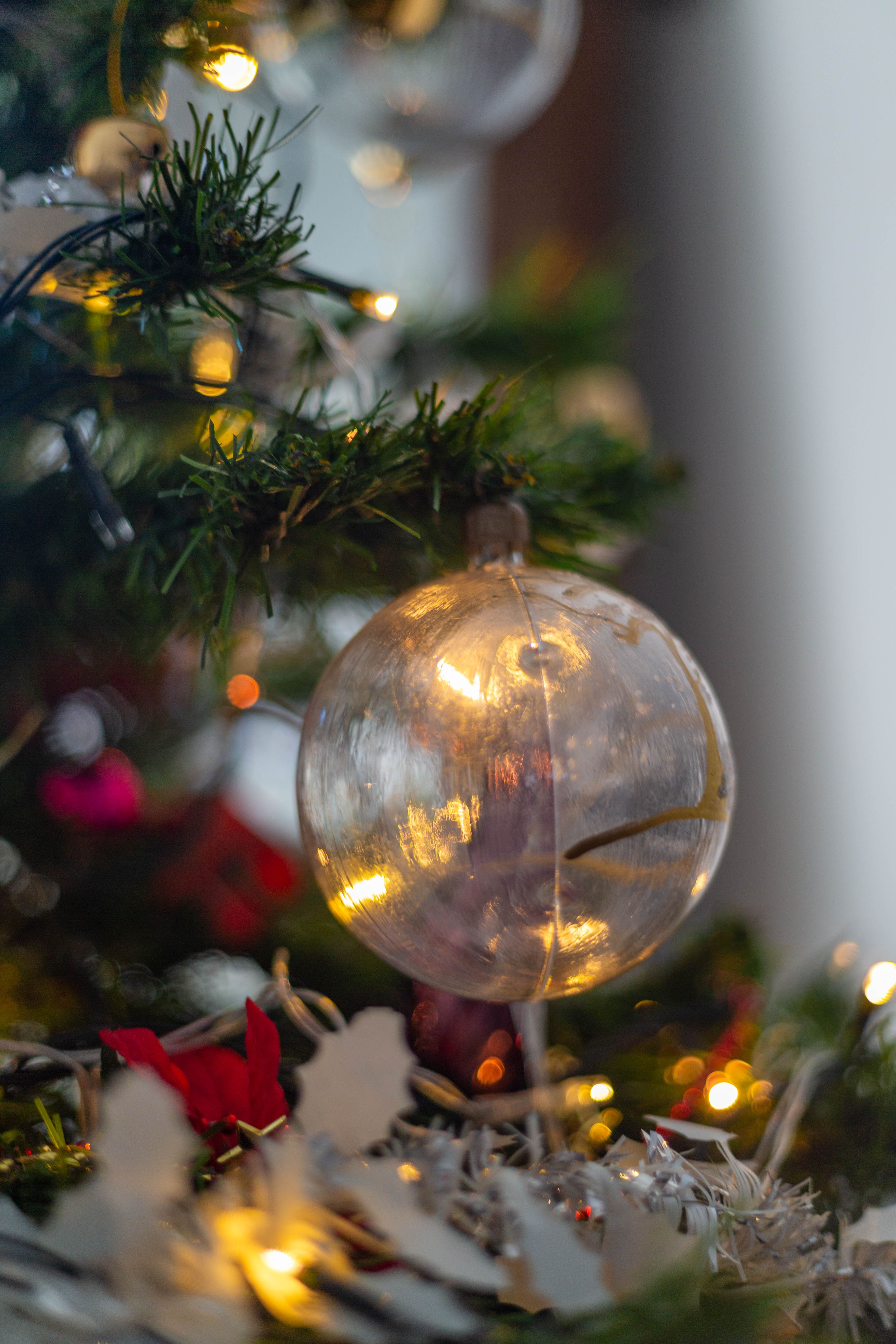 Glowing Christmas Ornament on Festive Tree Branch · Free Stock Photo