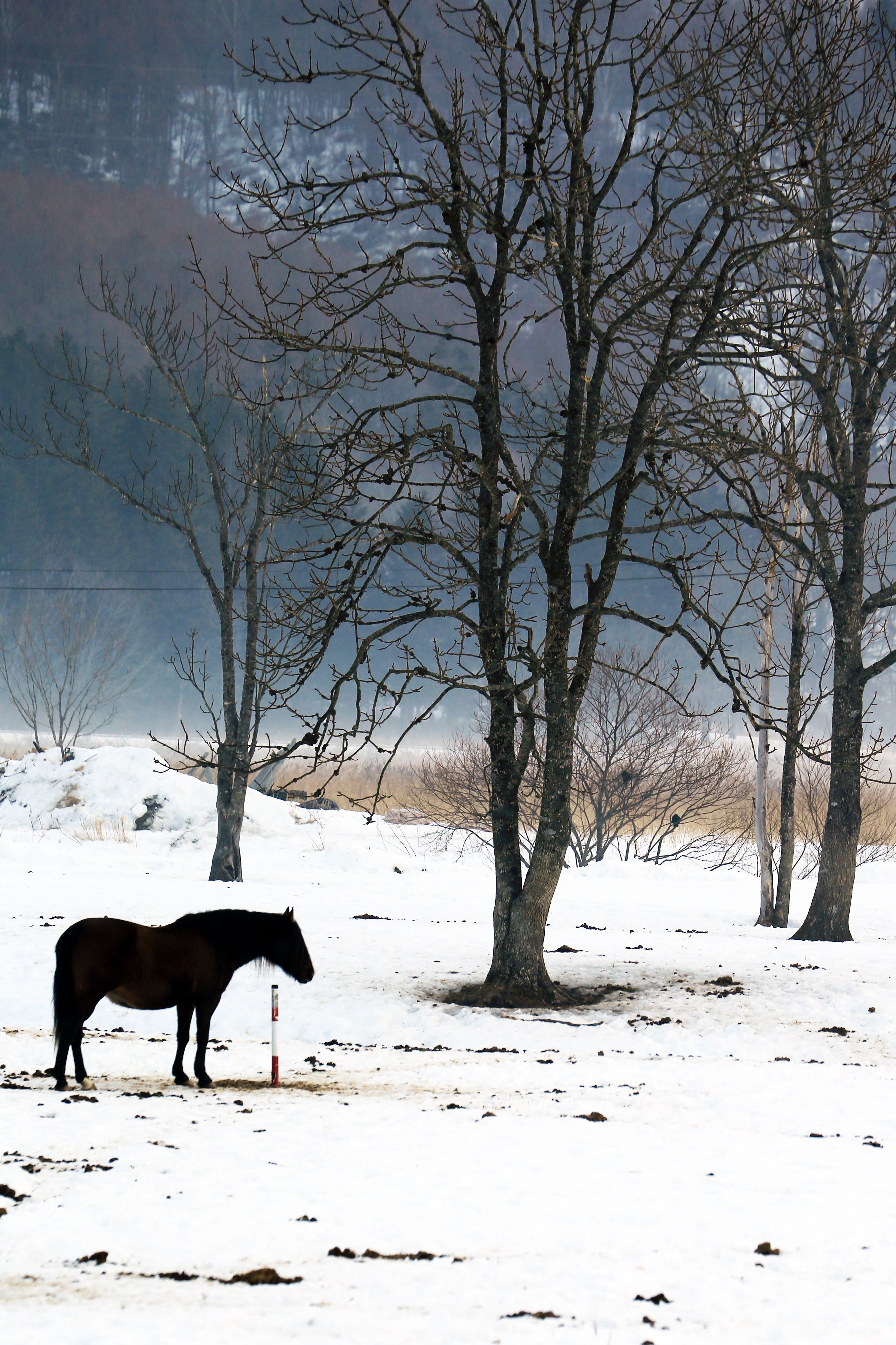 Barren Landscape Photos, Download The BEST Free Barren Landscape Stock ...