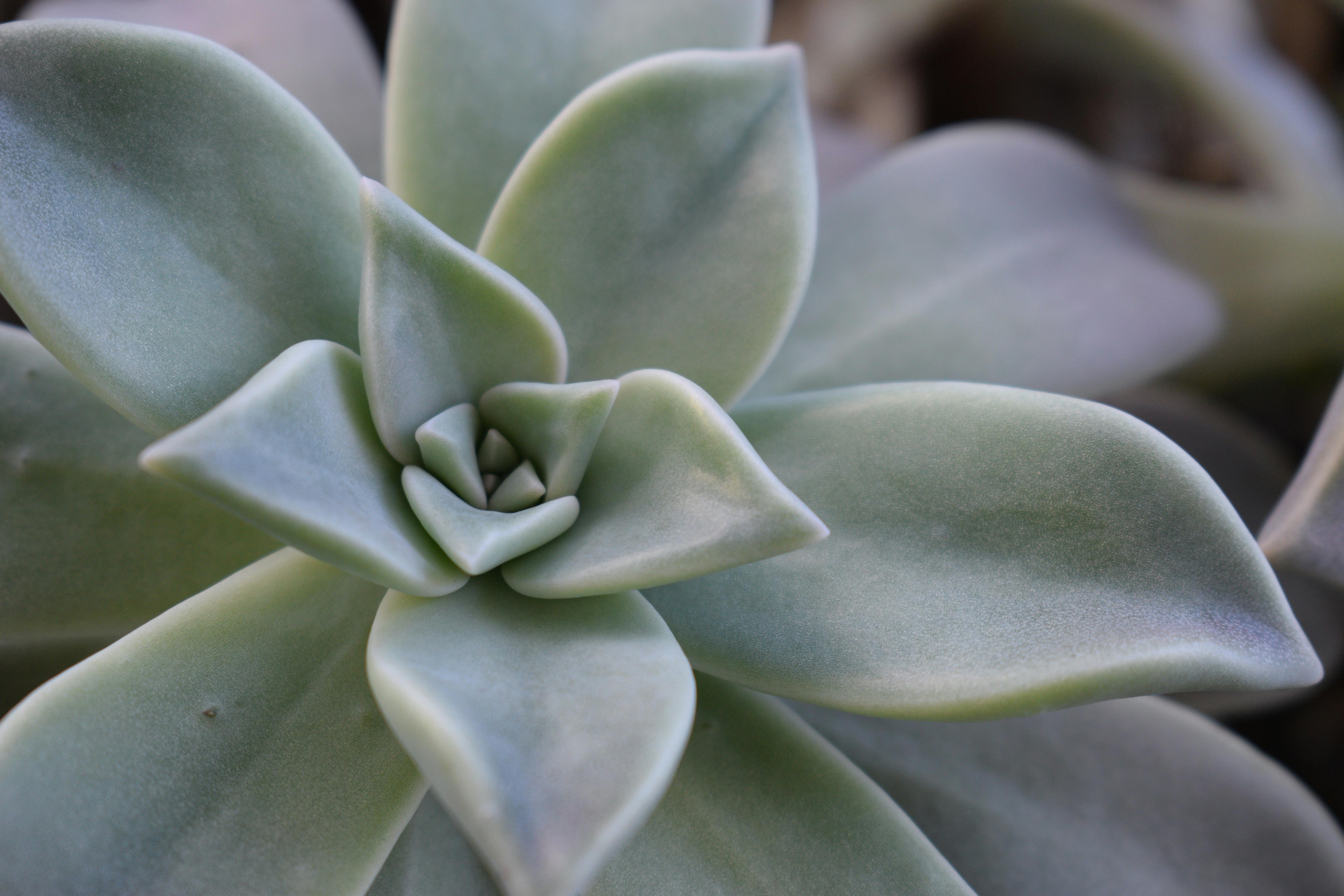 Calming Photos, Download The BEST Free Calming Stock Photos & HD Images