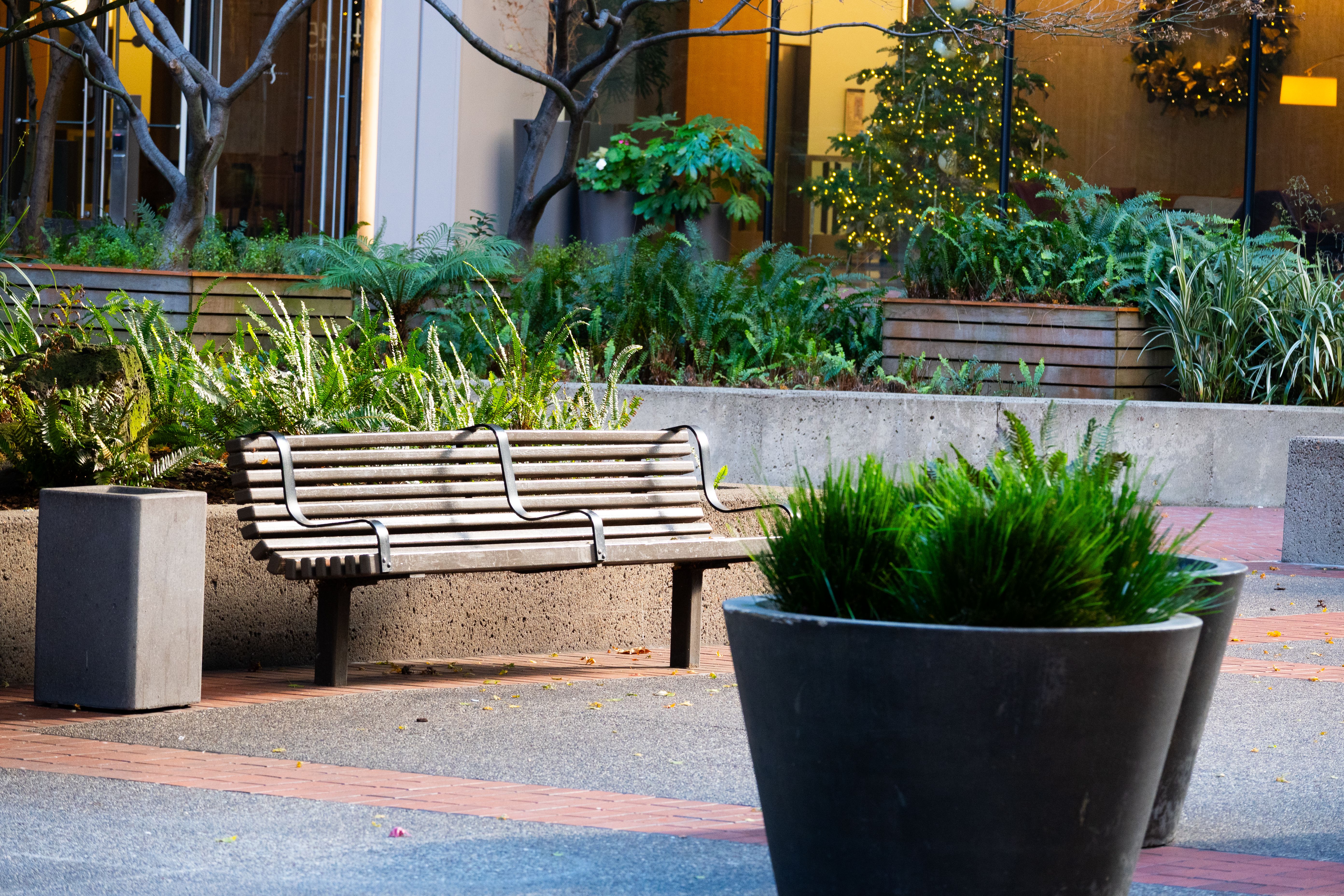 Urban Park Bench in San Francisco Courtyard · Free Stock Photo