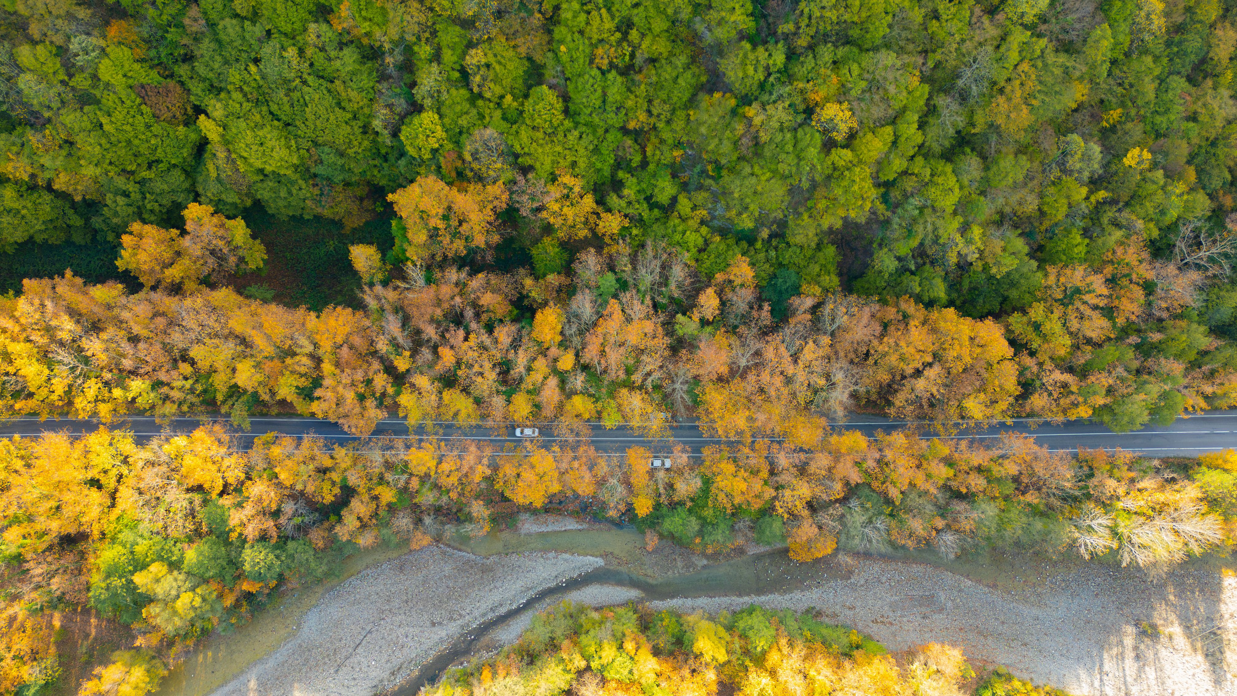 Overhead Pathway Photos, Download The BEST Free Overhead Pathway Stock ...