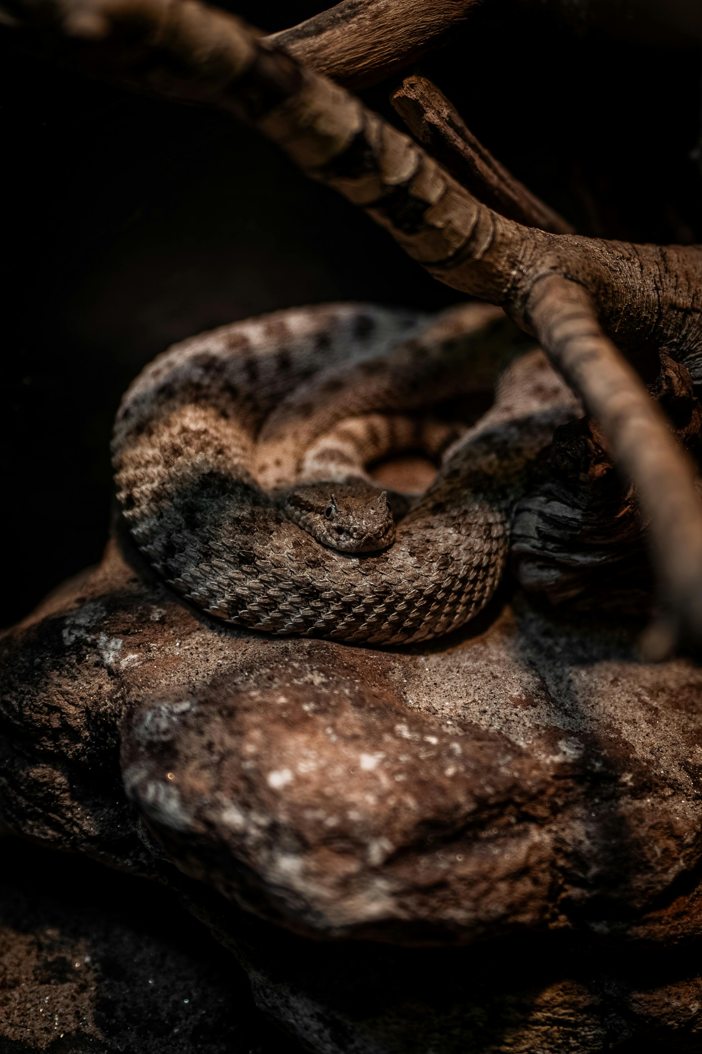 Balatro+Download+Torr Photos, Download The BEST Free Balatro+Download ...