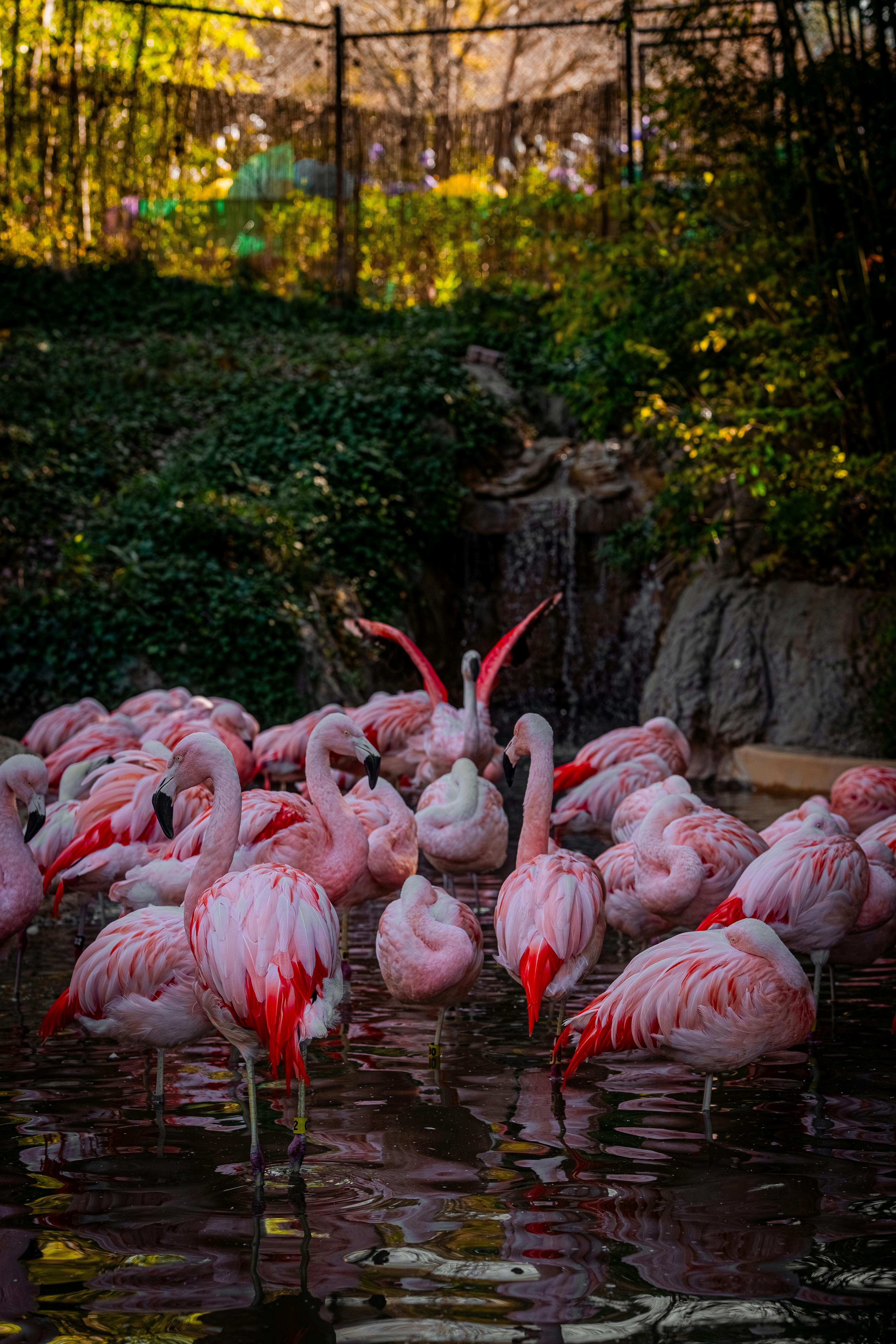 Infofree+Download Photos, Download The BEST Free Infofree+Download ...