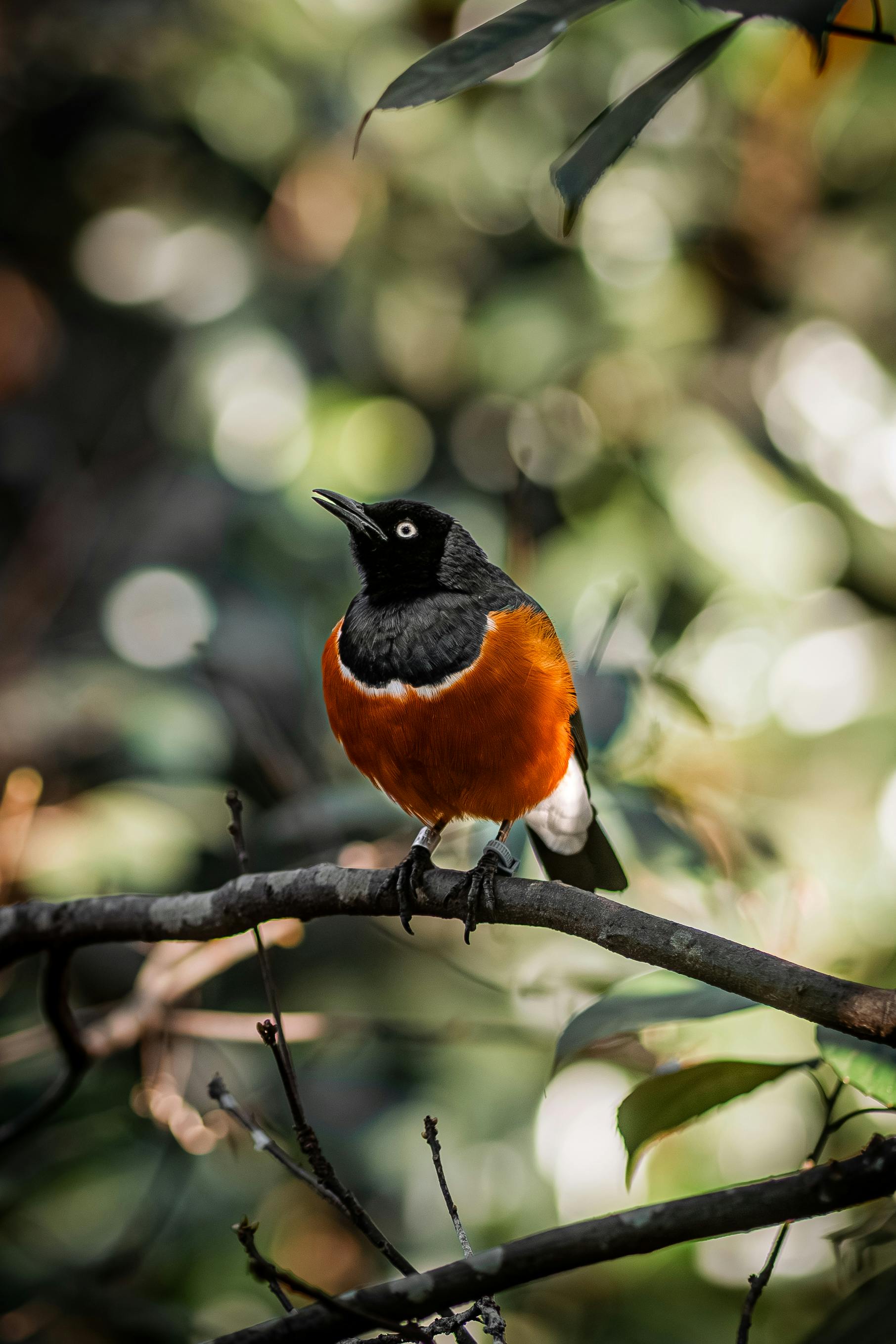 Notepad +Download Photos, Download The BEST Free Notepad +Download ...